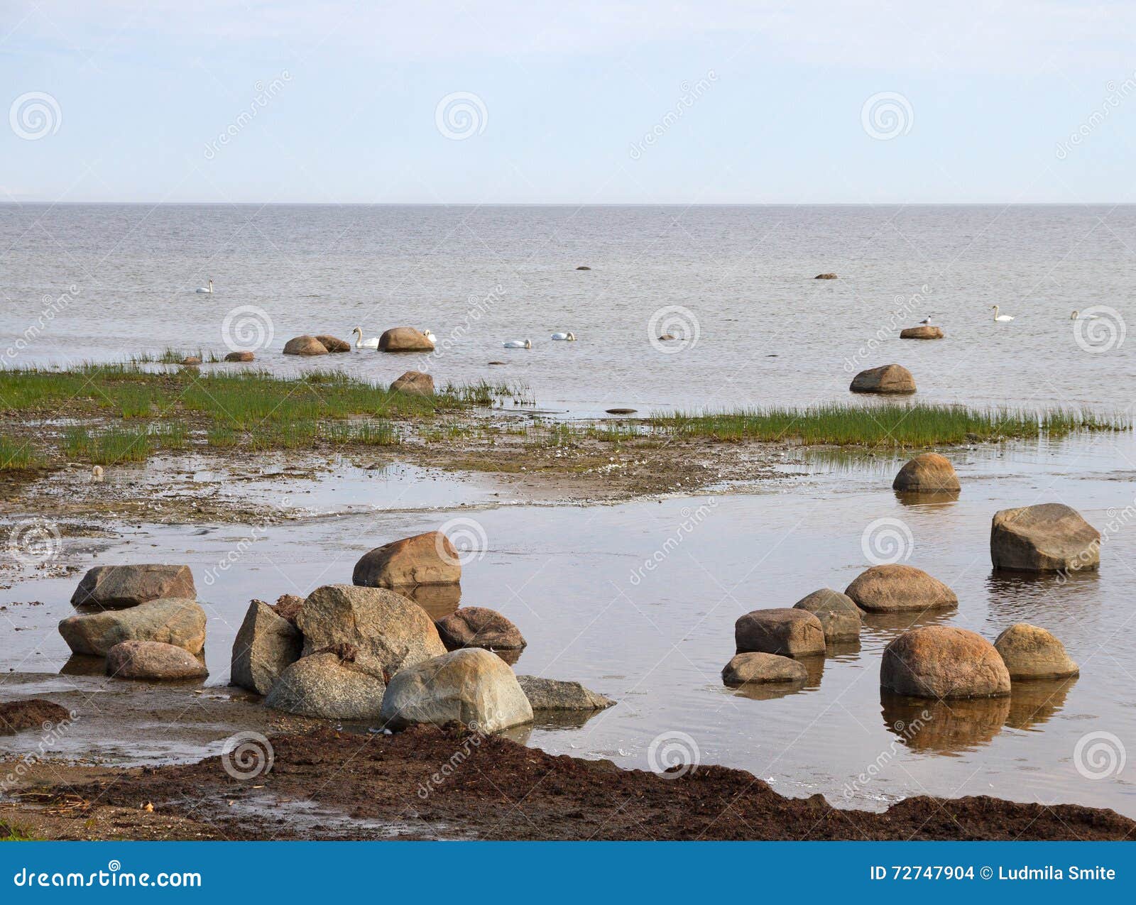 Stone Baltic sea. stock photo. Image of nature, background - 72747904