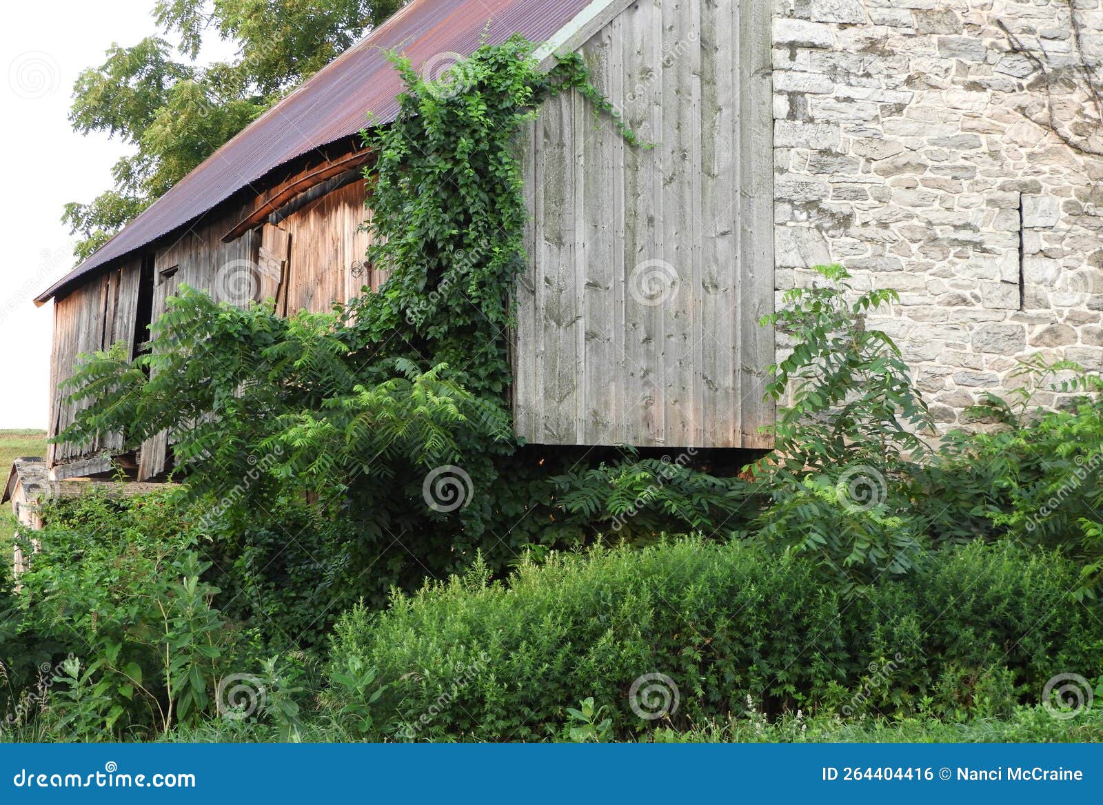 Forebay Historic Barn in Pennsylvania Stock Photo - Image of copyspace ...