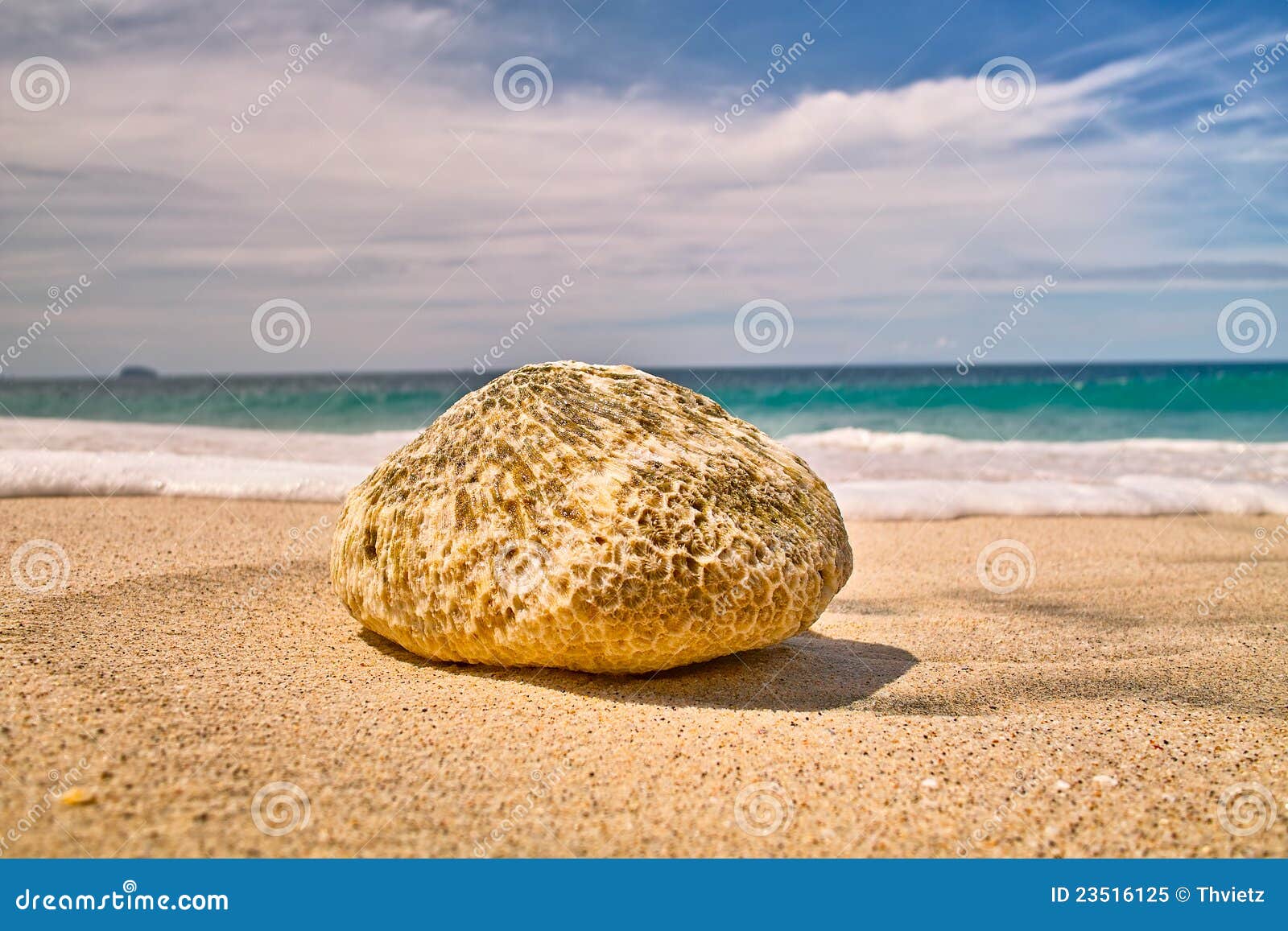Stone on the Beach stock image. Image of smoothed, rock - 23516125