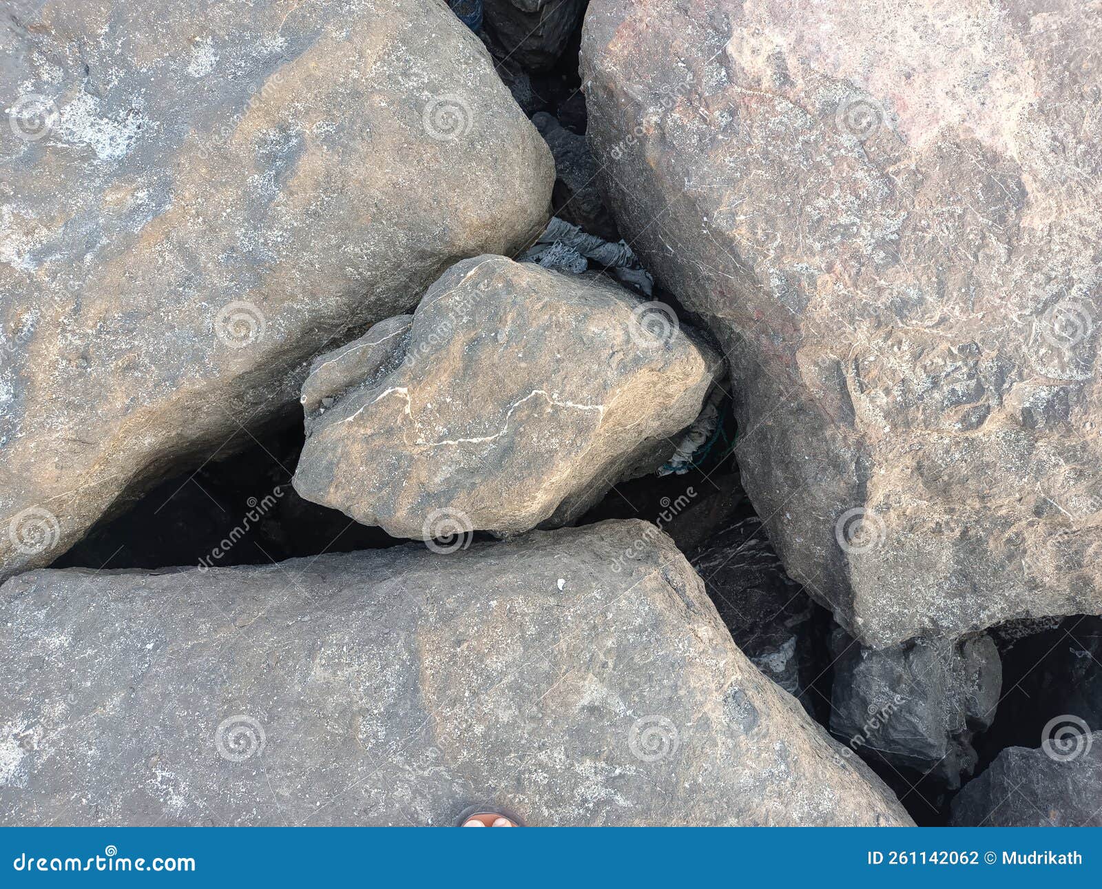 Stone in the Beach, Goa Beach Side Stock Photo - Image of wood ...
