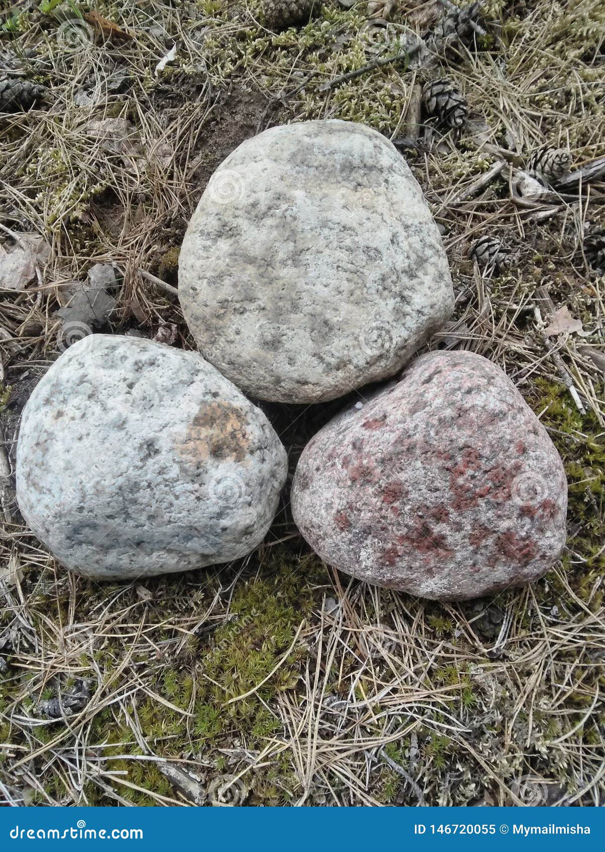 Stone stock image. Image of stone, forest - 146720055