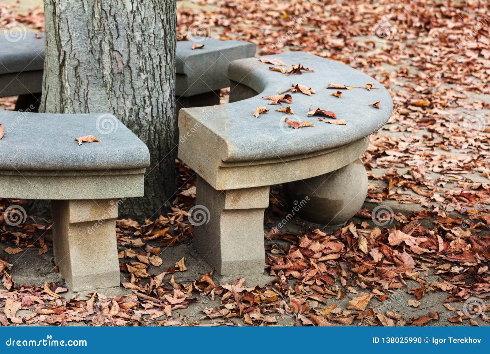 Stone bench in autumn park stock photo. Image of background - 138025990