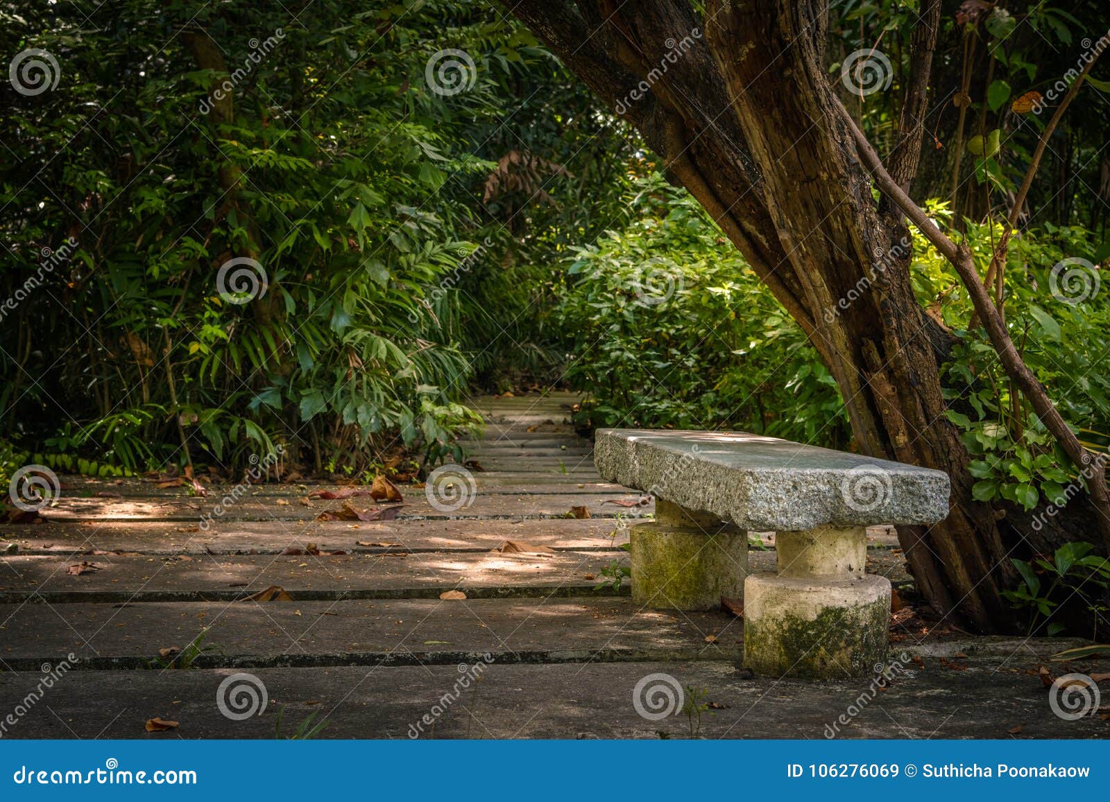 Stone bench at a park stock image. Image of chair, park - 106276069