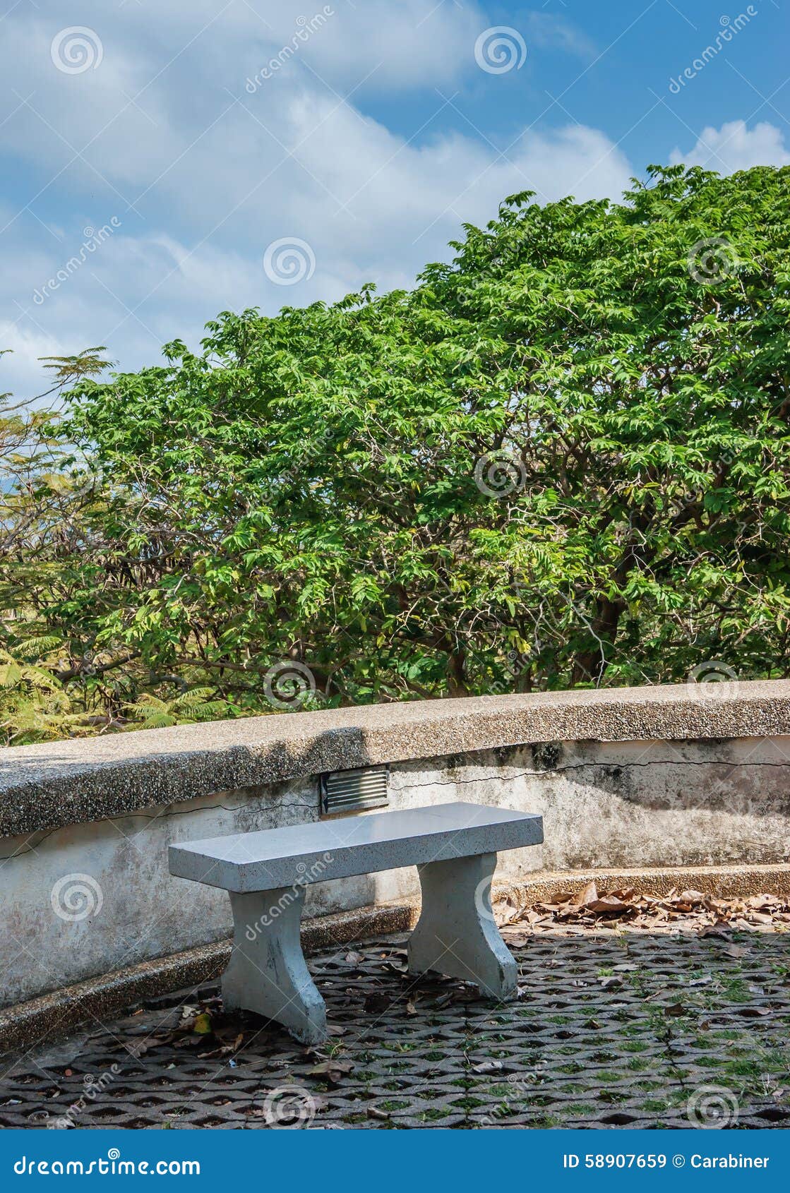 Stone bench in park stock image. Image of beautiful, trees - 58907659