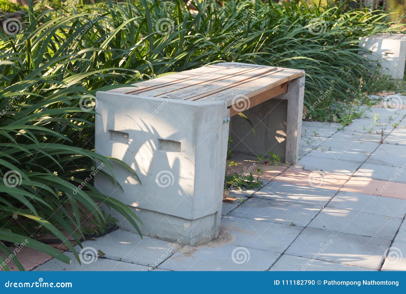 Stone bench in the park stock photo. Image of outdoor - 111182790