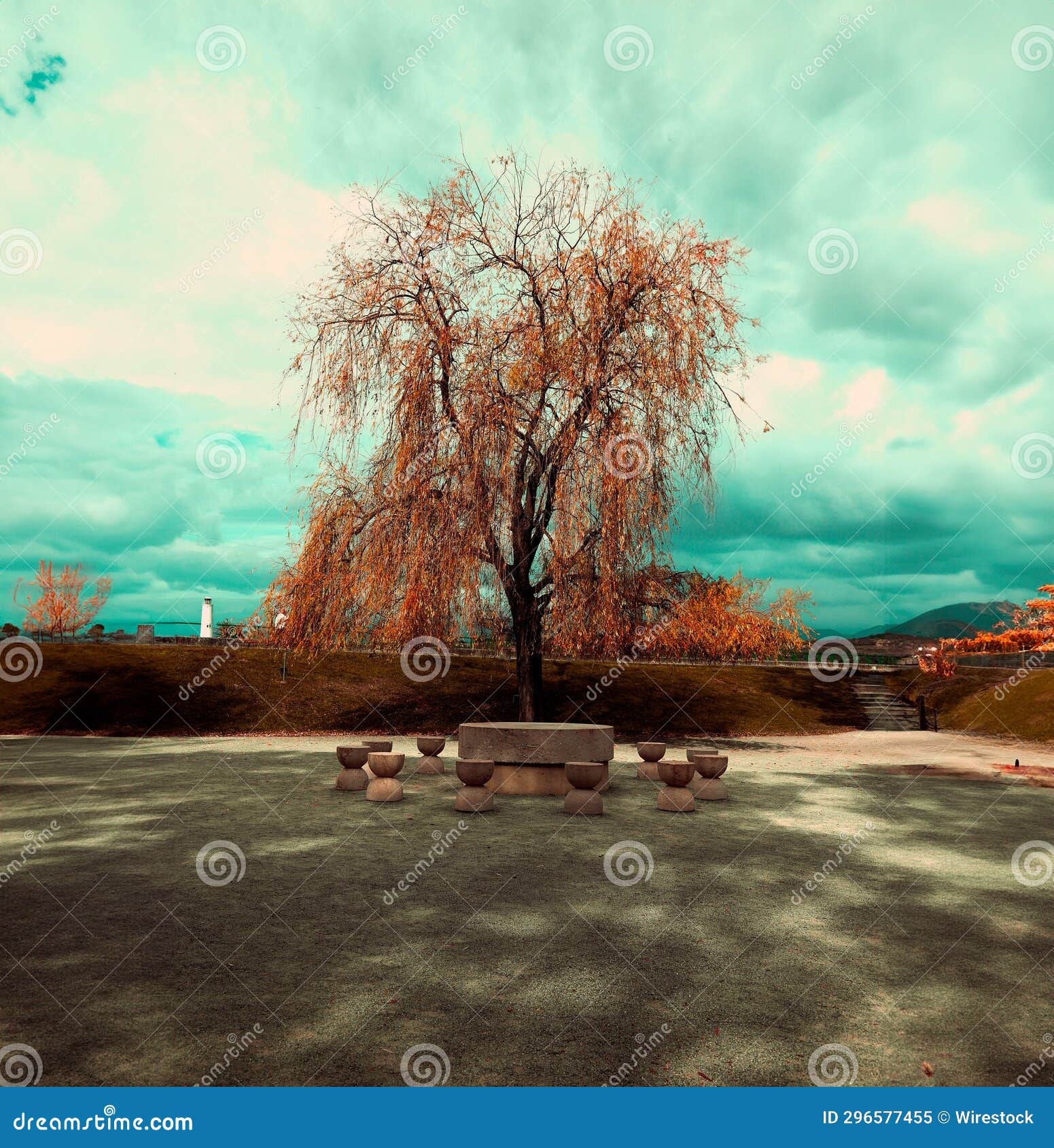 Stone Bench Sits in Peaceful Solitude Beneath a Large, Leafy Tree in ...