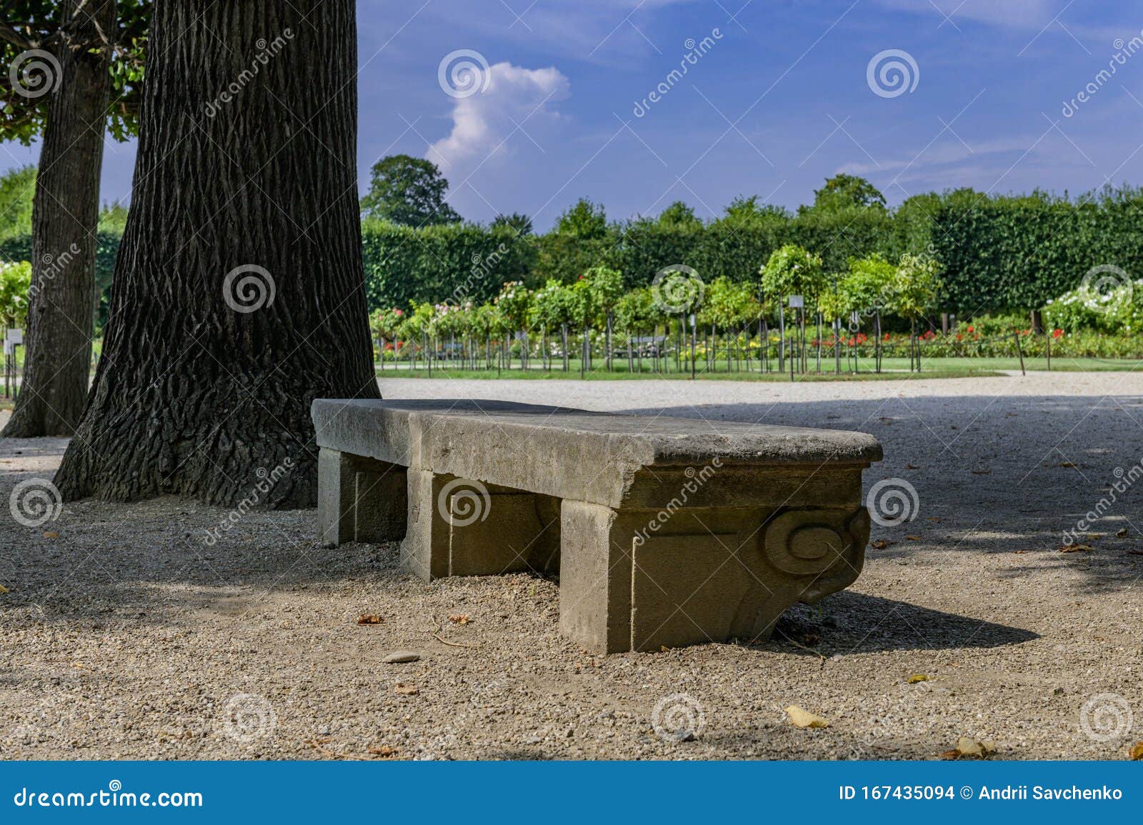 Stone Bench in the Summer Park Stock Photo - Image of nature, grass ...