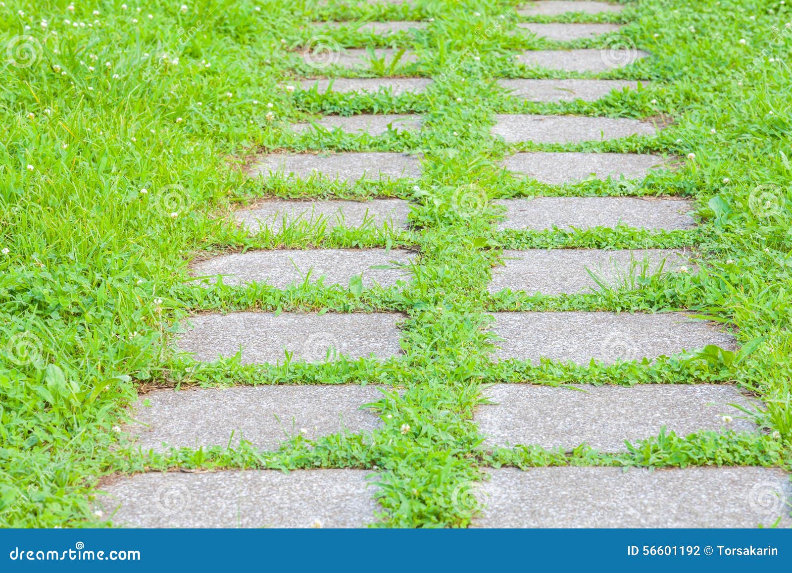 Stone block pathway stock photo. Image of environment - 56601192