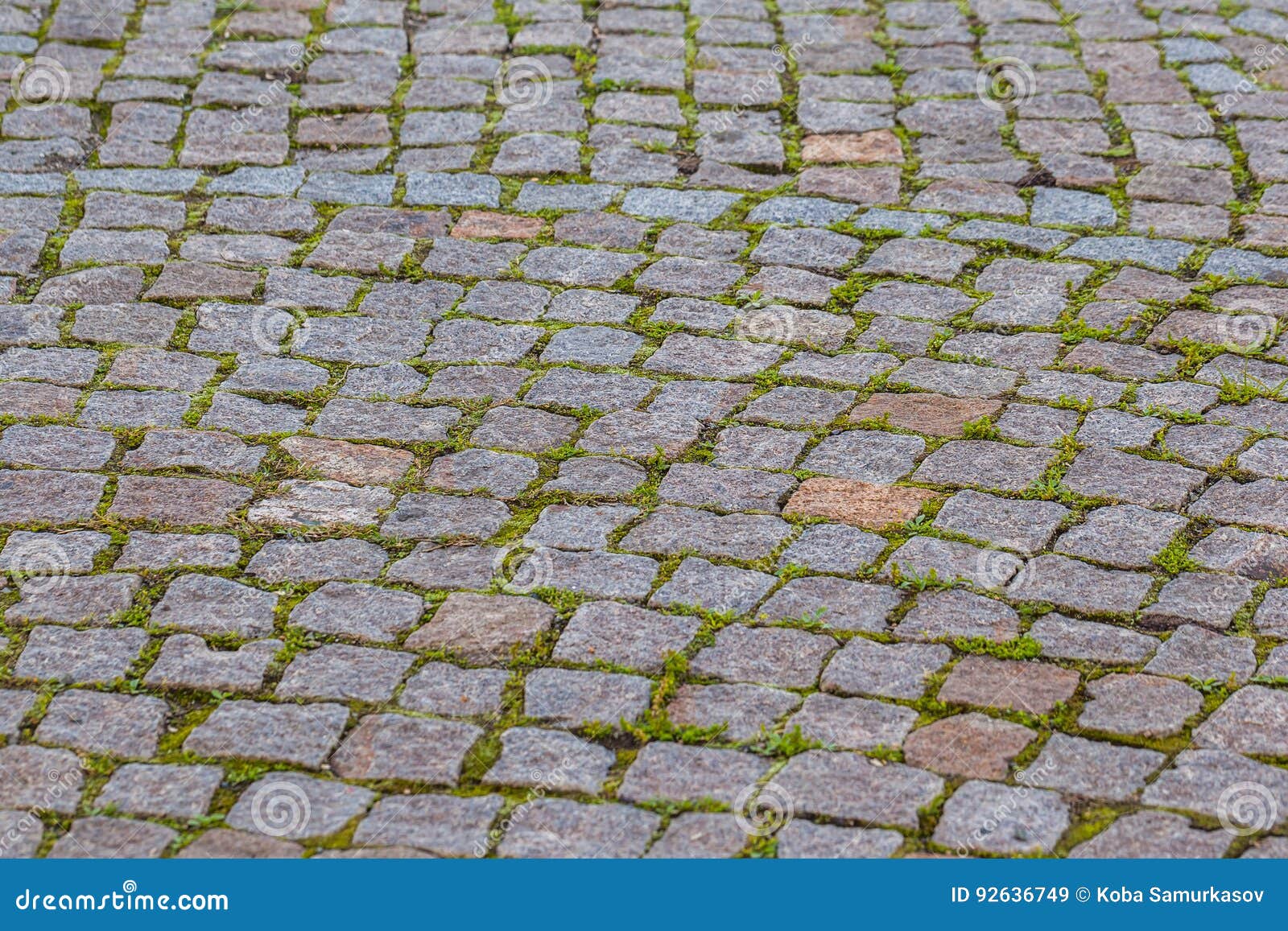 Stone Block Seamless Texture, the Road To Pedestrians Stock Image ...