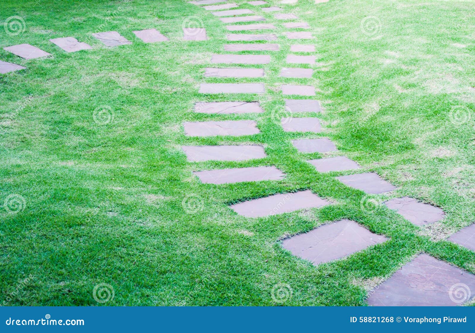 Stone Block Walk Path in the Garden with Grass Stock Photo - Image of ...