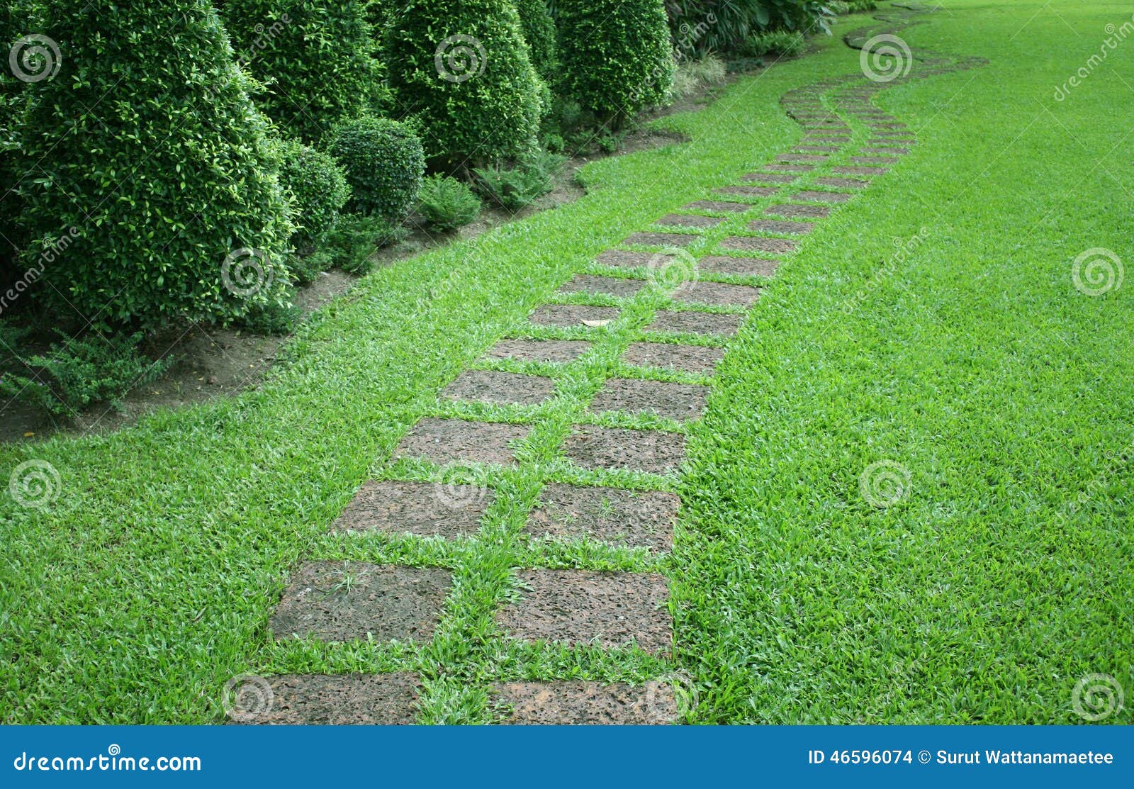The stone block walk path stock photo. Image of flower - 46596074