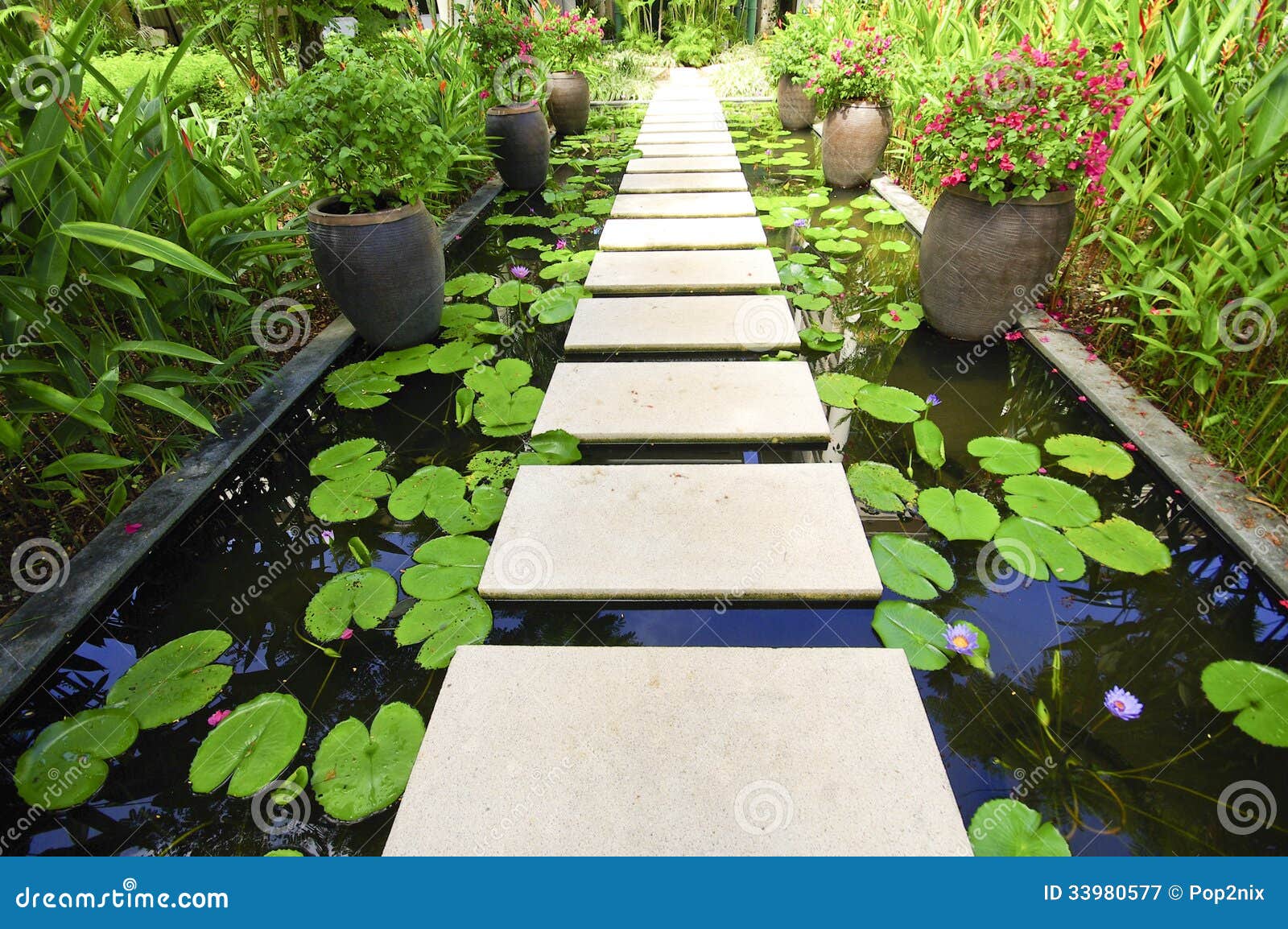 The Stone Block Walk Path in the Garden on Water Stock Image - Image of ...