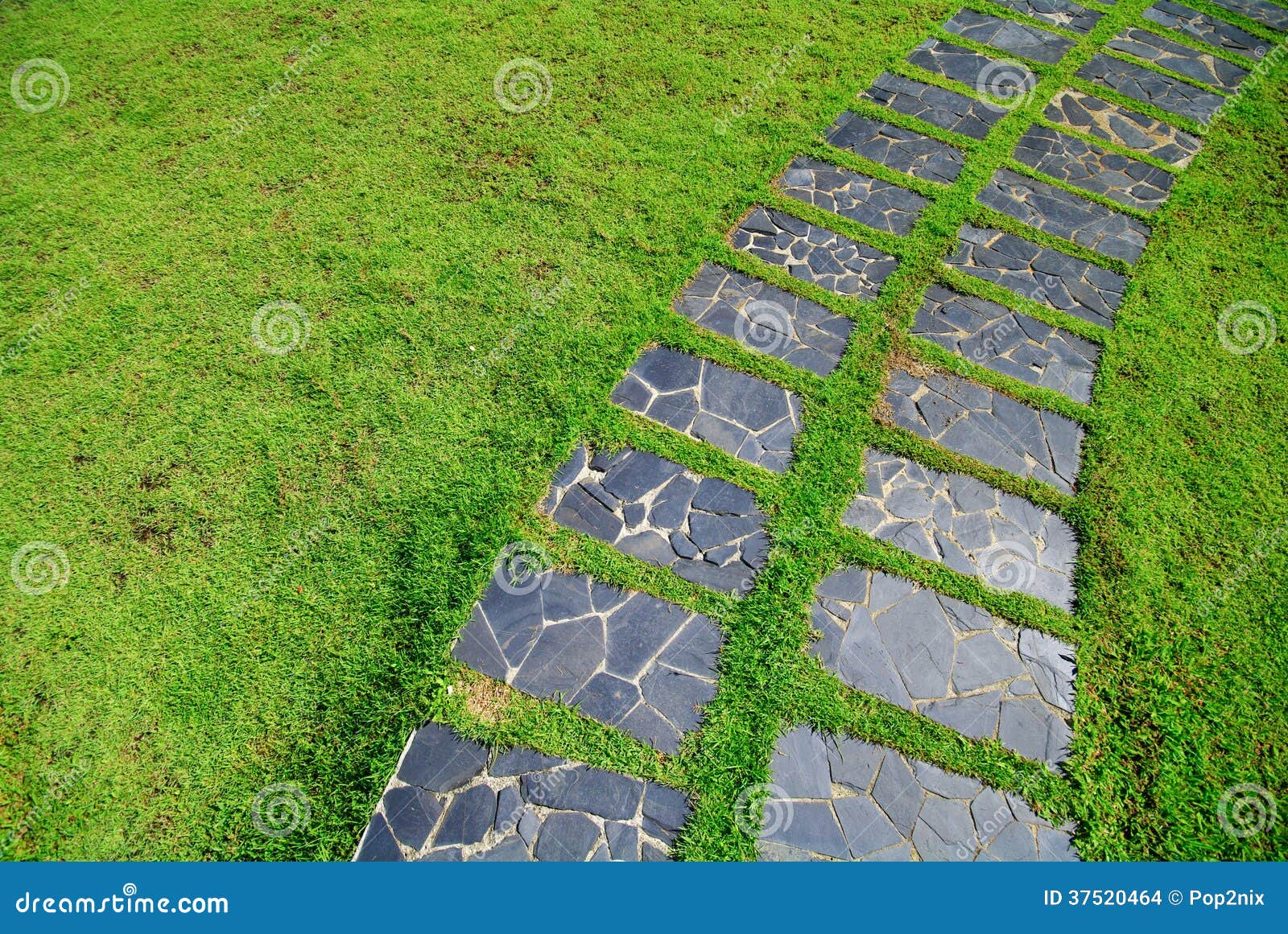 Walk Path Through Green Trees Stock Photography | CartoonDealer.com ...