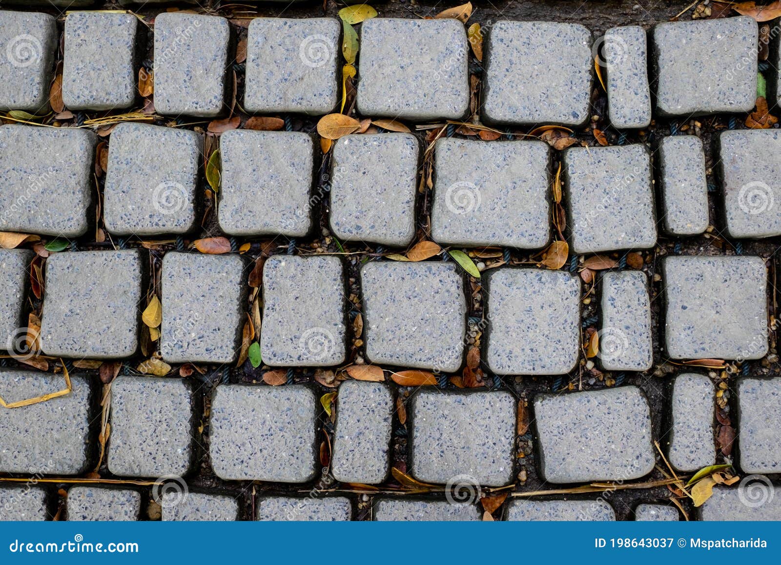 Stone Blocks Walk Path in the Park Stock Image - Image of lawn, park ...
