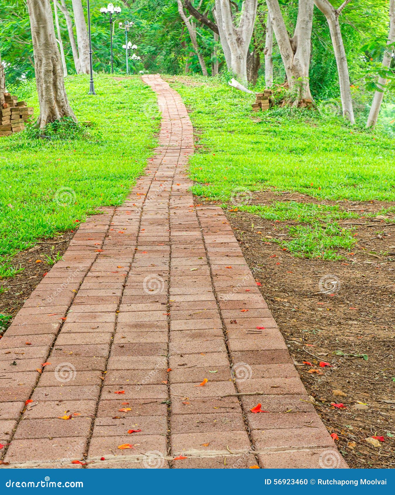 Stone Block Walk Path in the Park Stock Photo - Image of beautiful ...