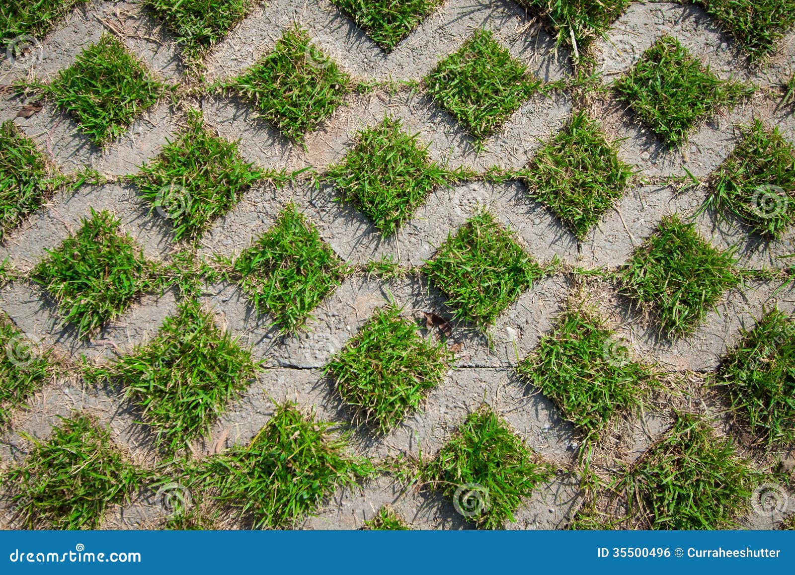 The Stone Block Walk Path in the Park Stock Photo - Image of path ...