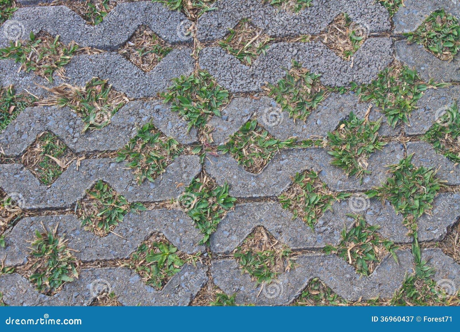 Stone block walk path stock image. Image of architecture - 36960437