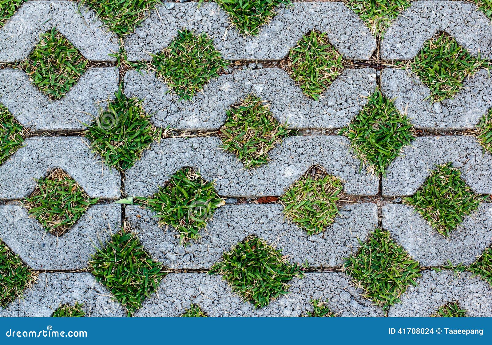 The Stone Block Walk Path in the Park with Green Stock Photo - Image of ...