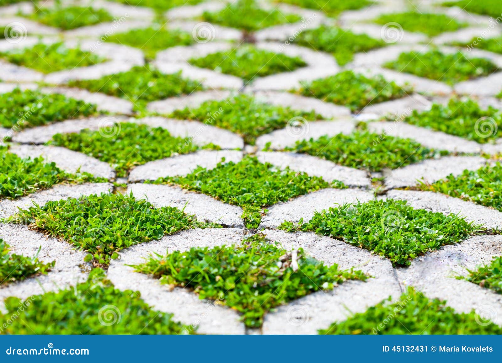 Stone Block Walk Path in the Park with Green Grass Stock Image - Image ...