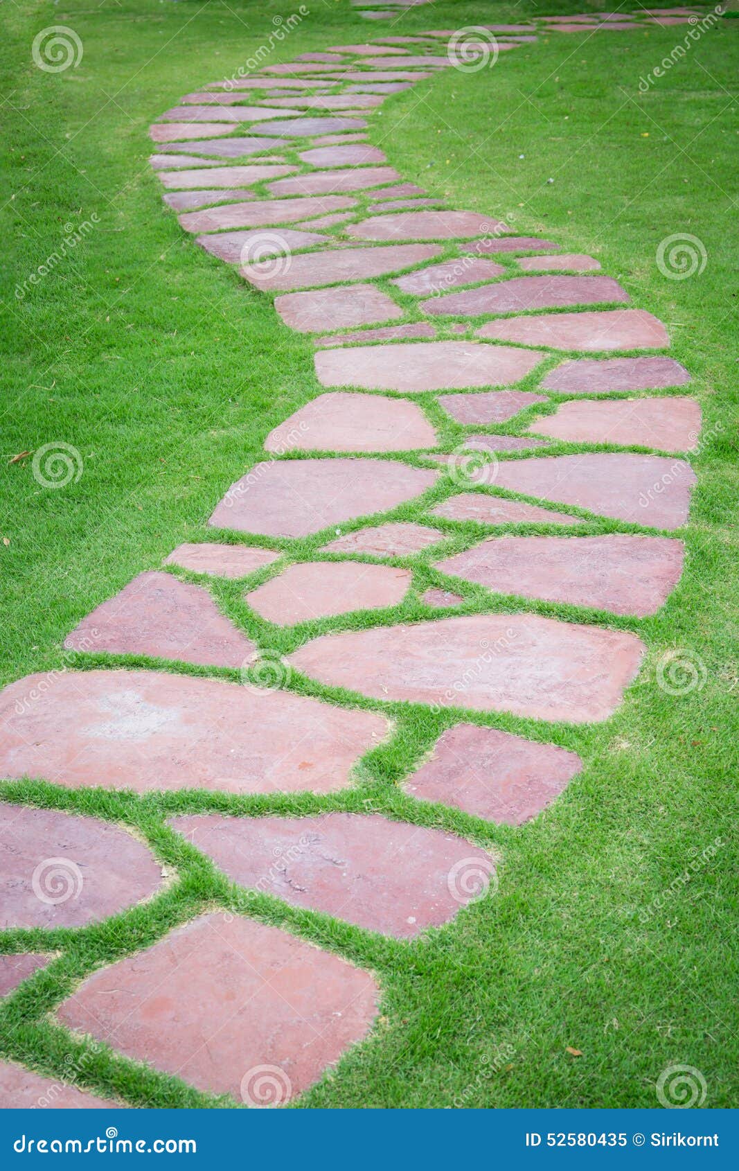The Stone Block Walk Path in the Park Stock Image - Image of green ...