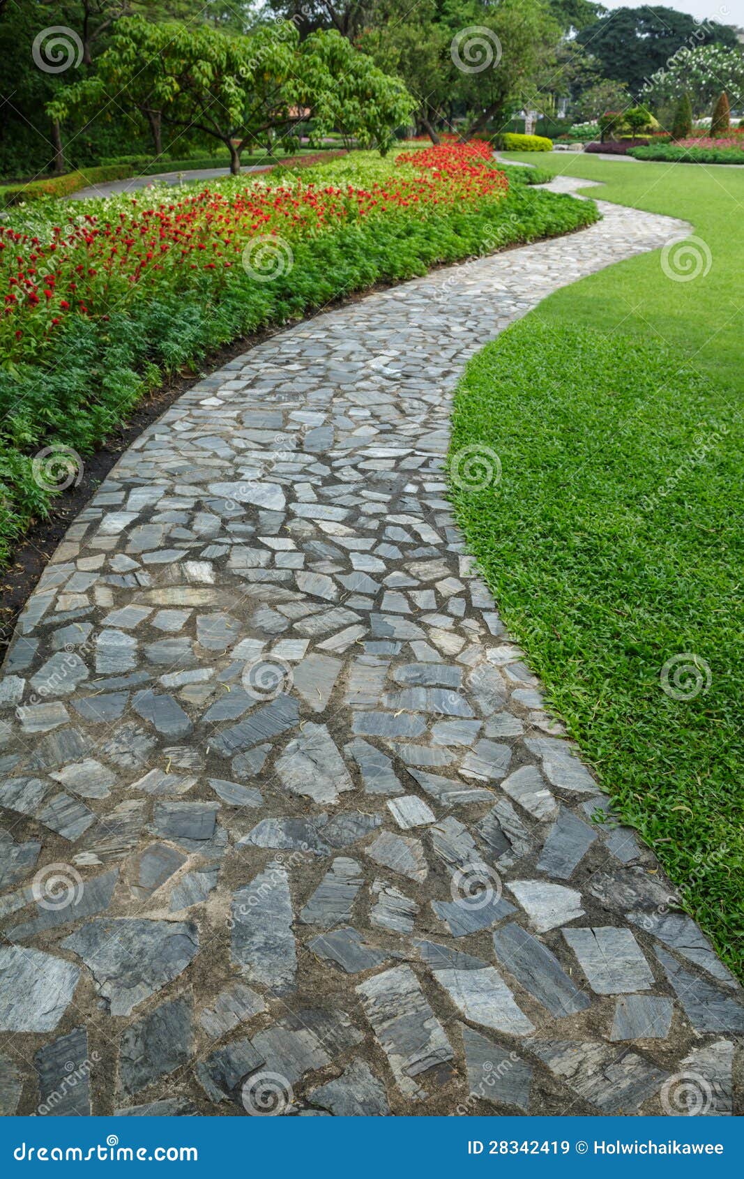 The Stone Block Walk Path in the Park with Green Grass and Flowers ...