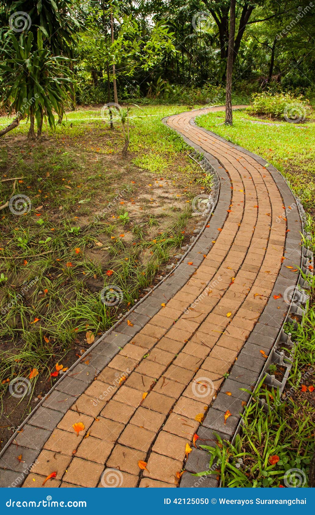 The Stone Block Walk Path in the Park Stock Photo - Image of ...