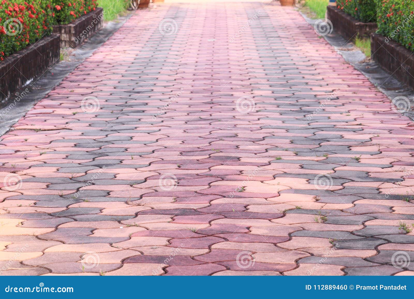 Stone Block Walk Path in the Park: Select Focus with Shallow Depth of ...