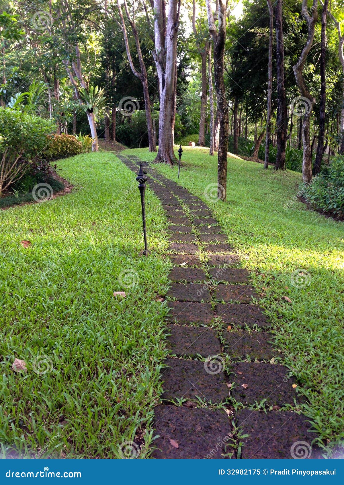 The Stone Block Walk Path in the Park Stock Image - Image of ...