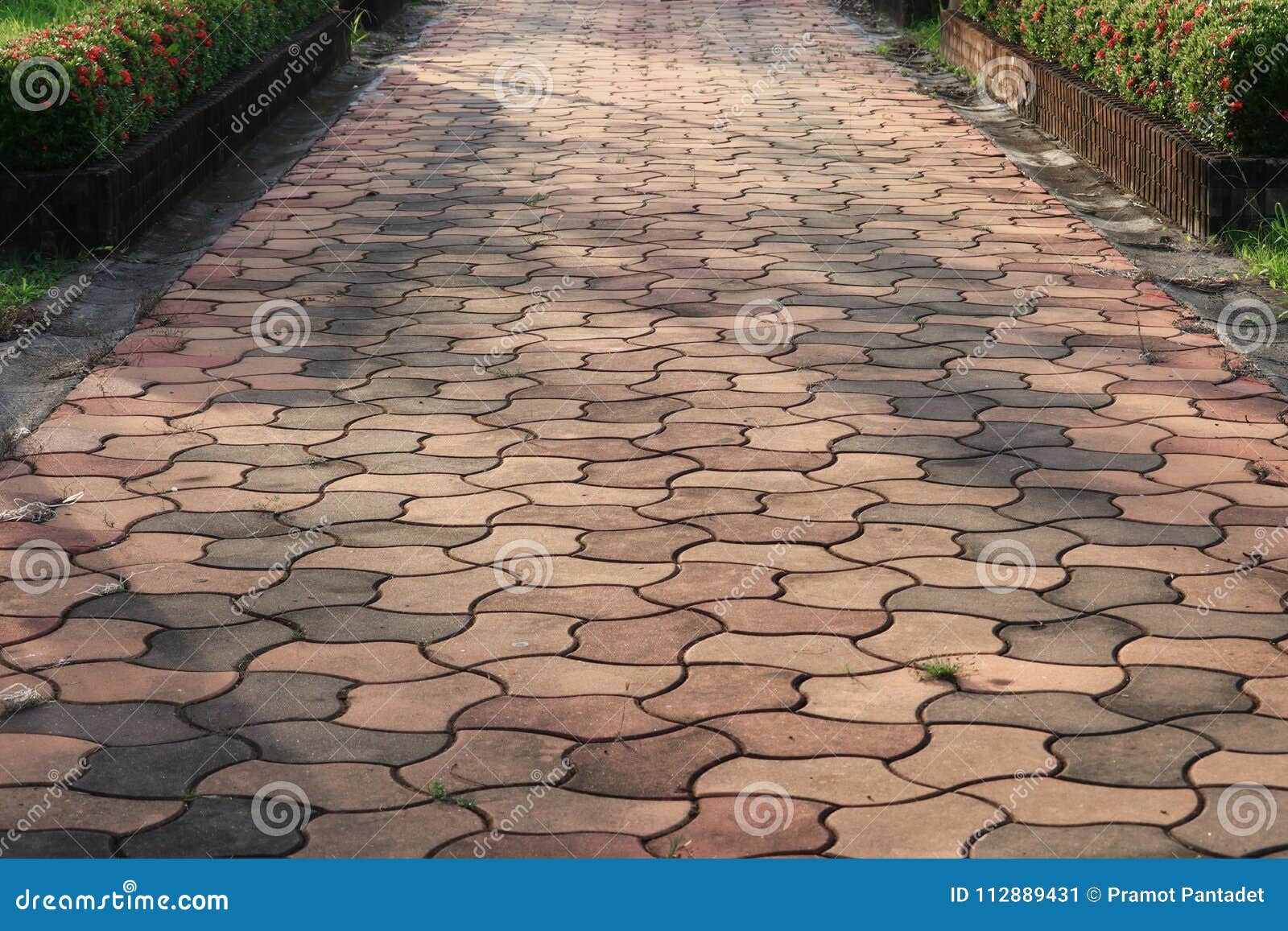 Stone Block Walk Path in the Roadside Stock Image - Image of green ...
