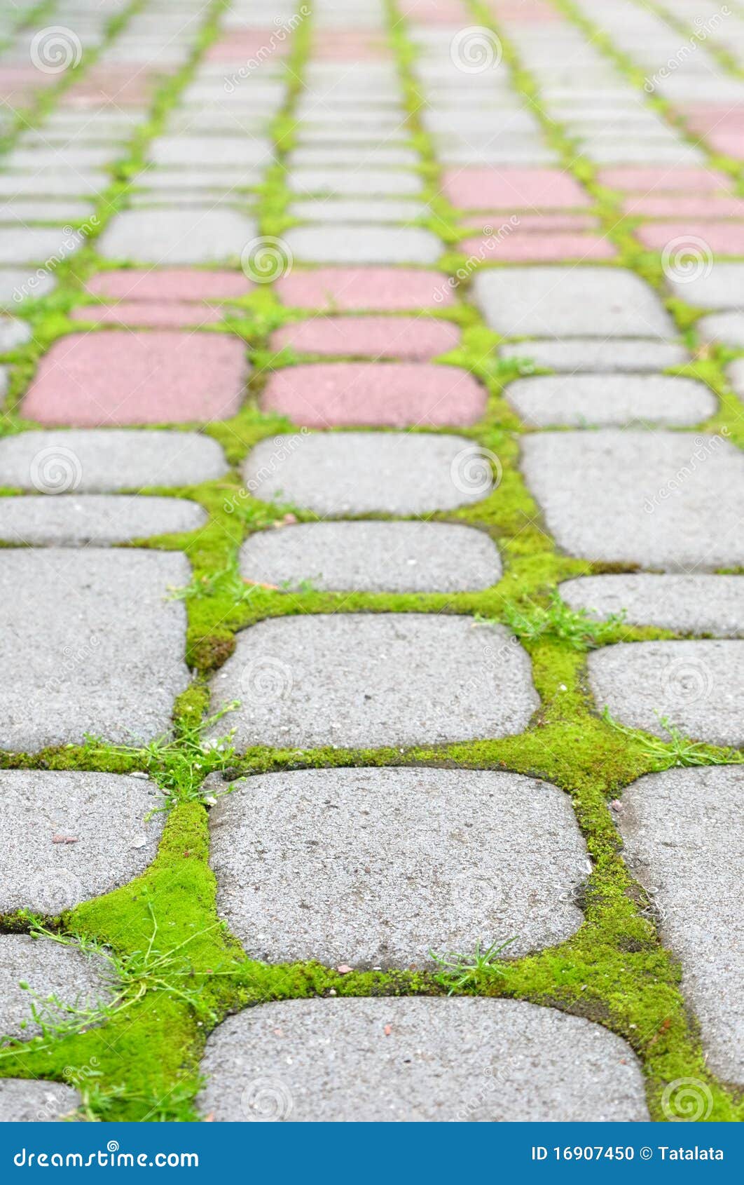 Stone blocks with moss stock photo. Image of square, green - 16907450