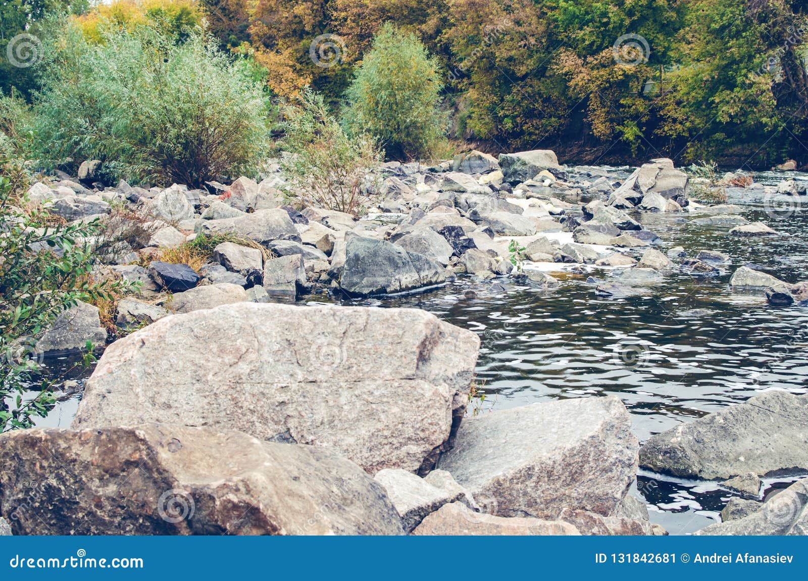 Stone Blocks in a River Surrounded by Trees Stock Image - Image of ...