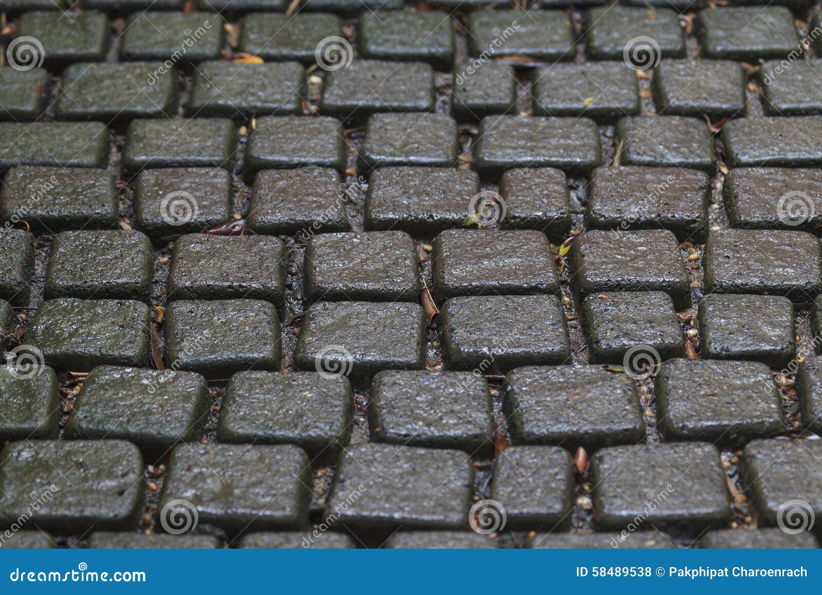 Stone Blocks Seamless Tileable Texture in Depth of Field. Stock Photo ...