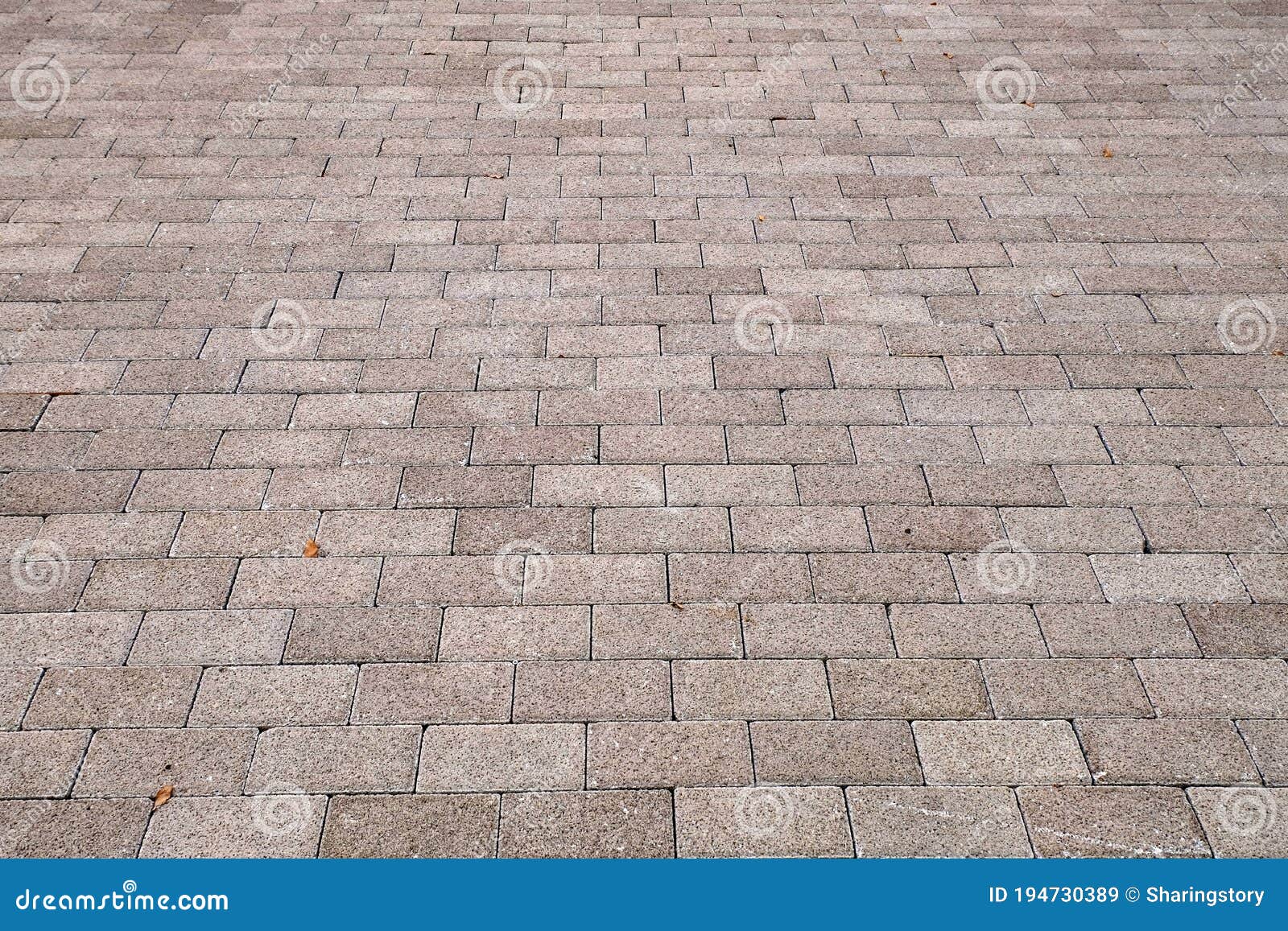 Stone Blocks in the Walkway Stock Image - Image of walkway, blocks ...