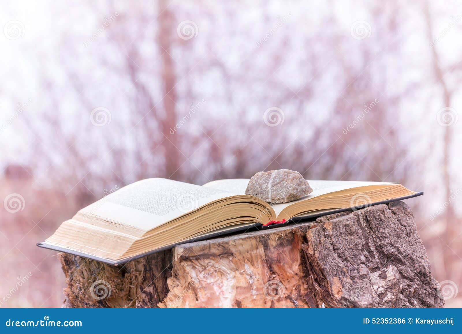 Stone on a Book stock photo. Image of document, natural - 52352386