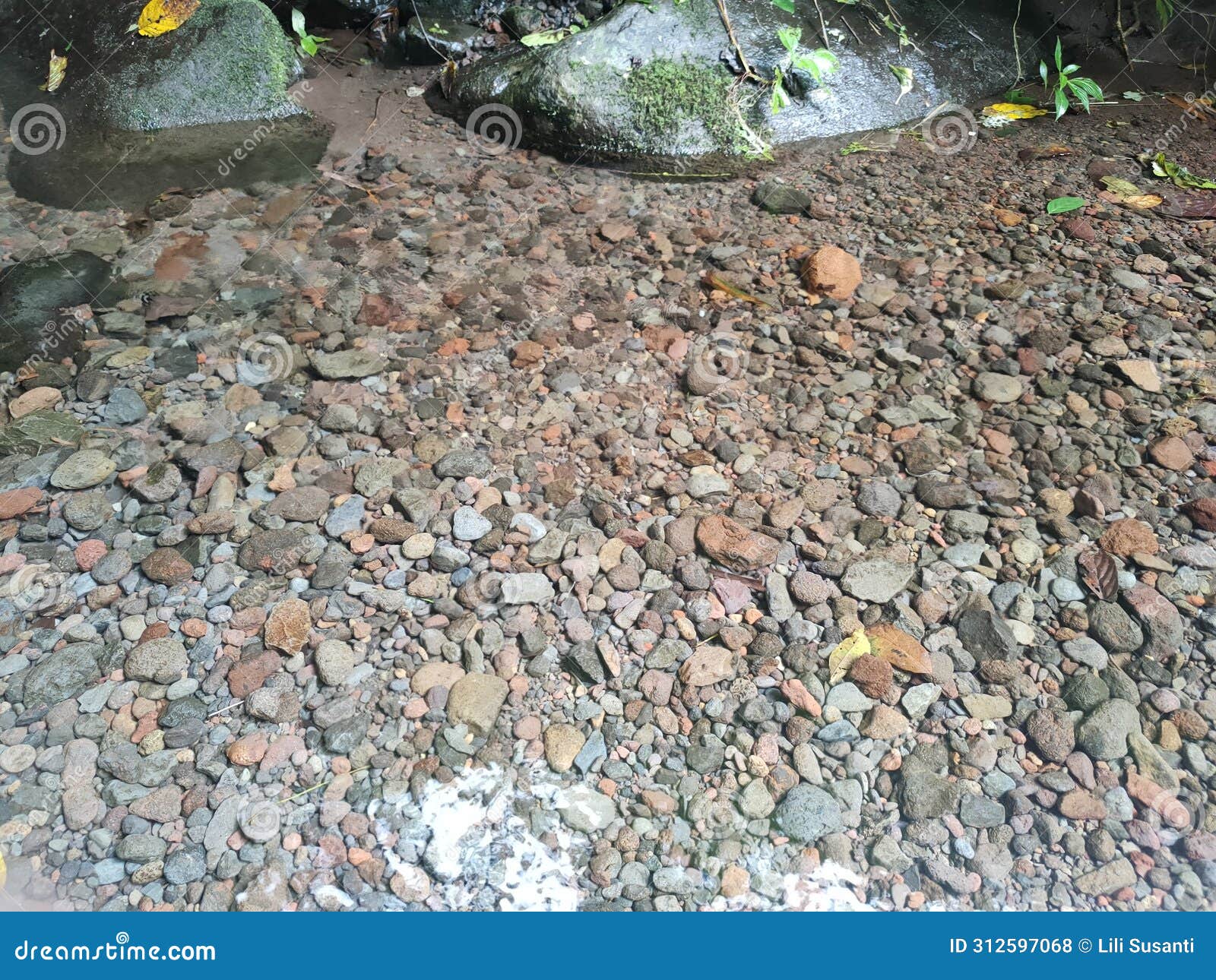 Clear and Clean Rivers Water Stock Photo - Image of mineralwater ...