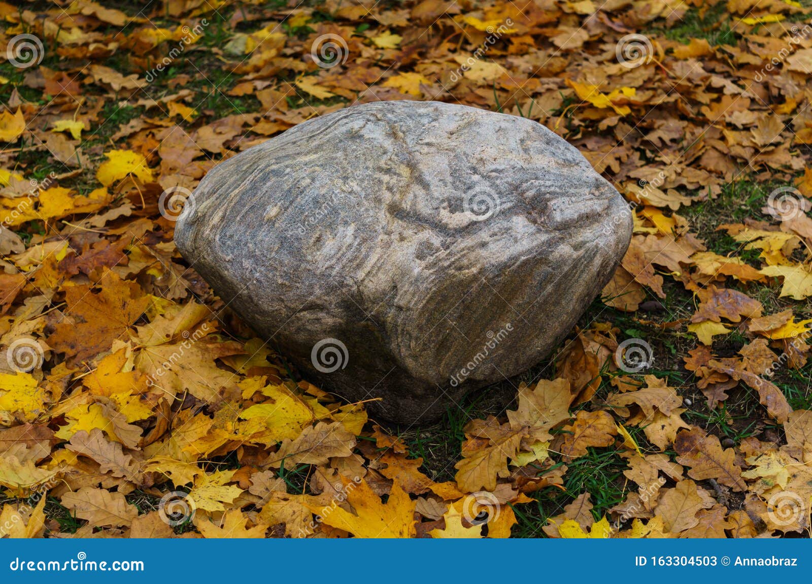 A Stone Boulder in the Midst of Fallen Yellow Leaves Stock Image ...