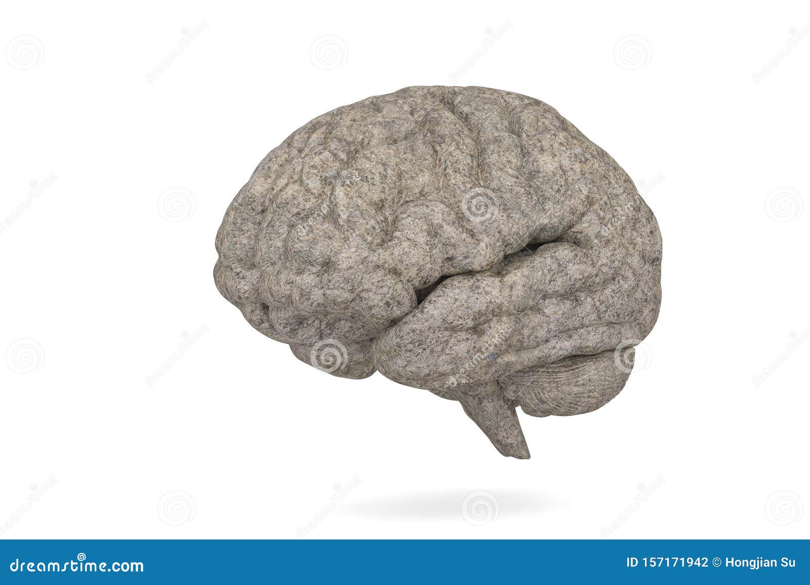Stone Brain Isolated on White Background, 3D Illustration Stock ...