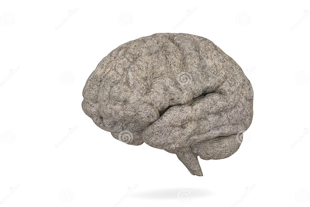 Stone Brain Isolated on White Background, 3D Illustration Stock ...