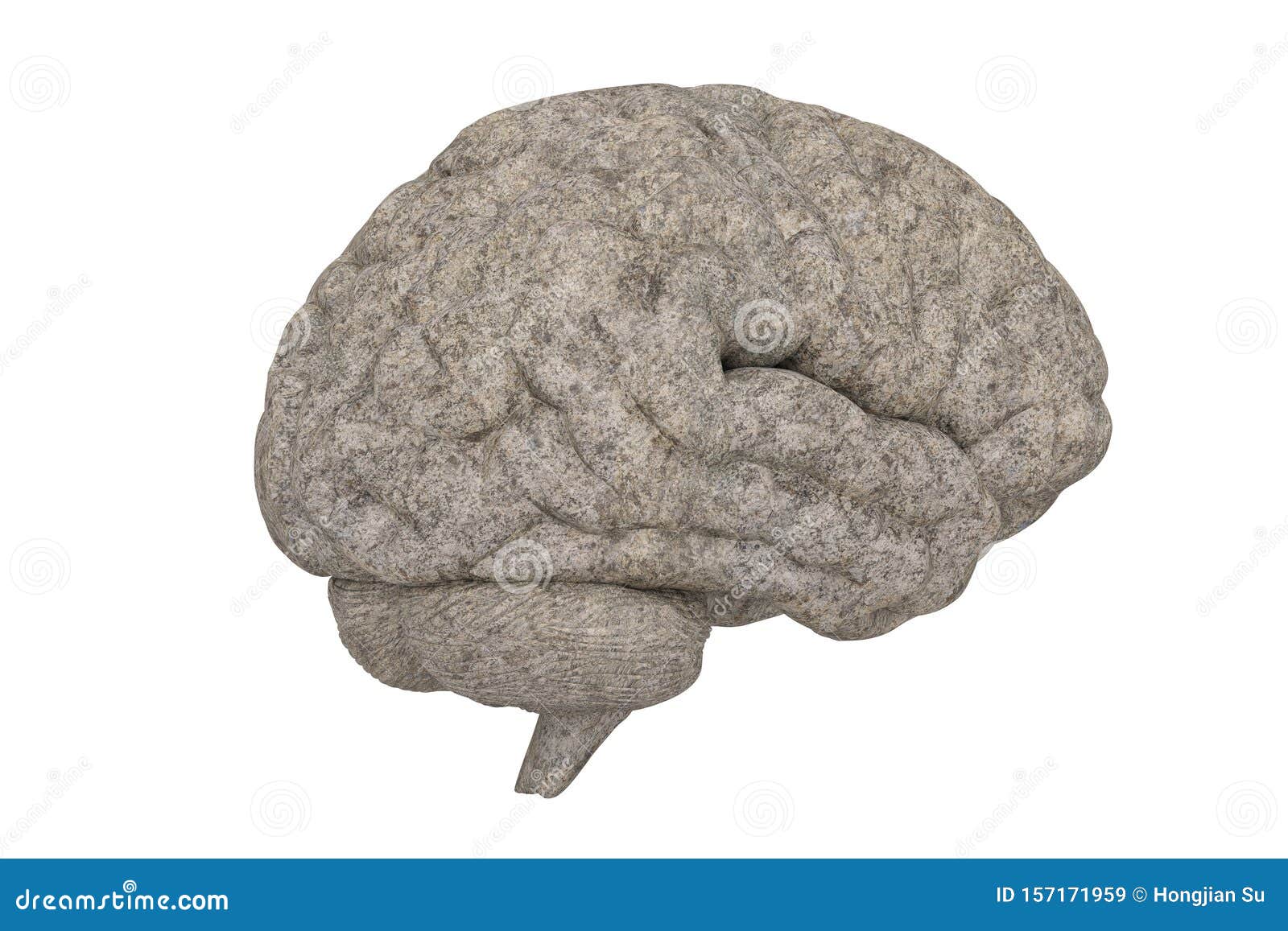 Stone Brain Isolated on White Background, 3D Illustration Stock ...