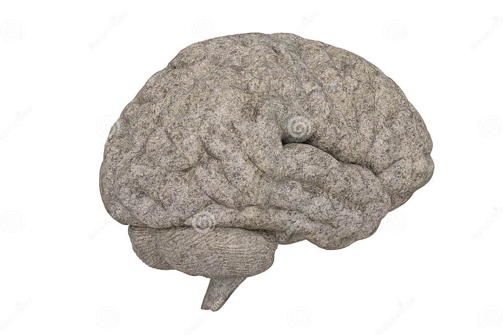 Stone Brain Isolated on White Background, 3D Illustration Stock ...