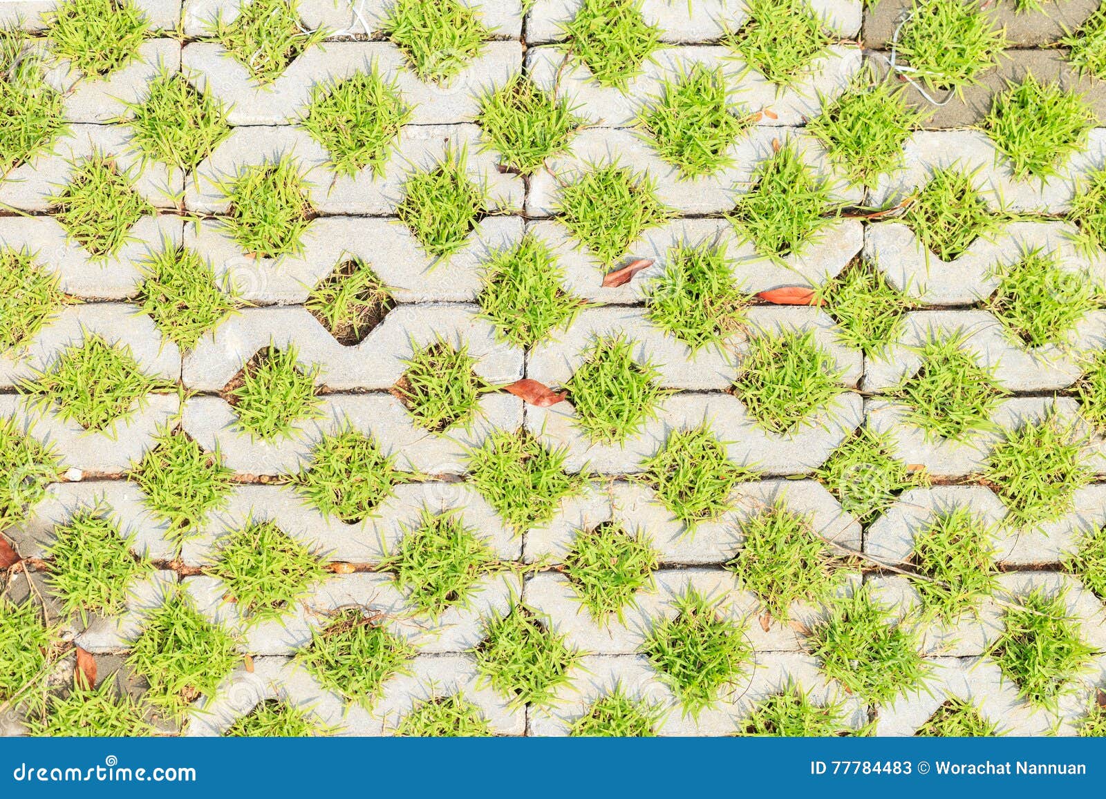 Stone, Brick on Floor and Grass Texture Stock Image - Image of grass ...