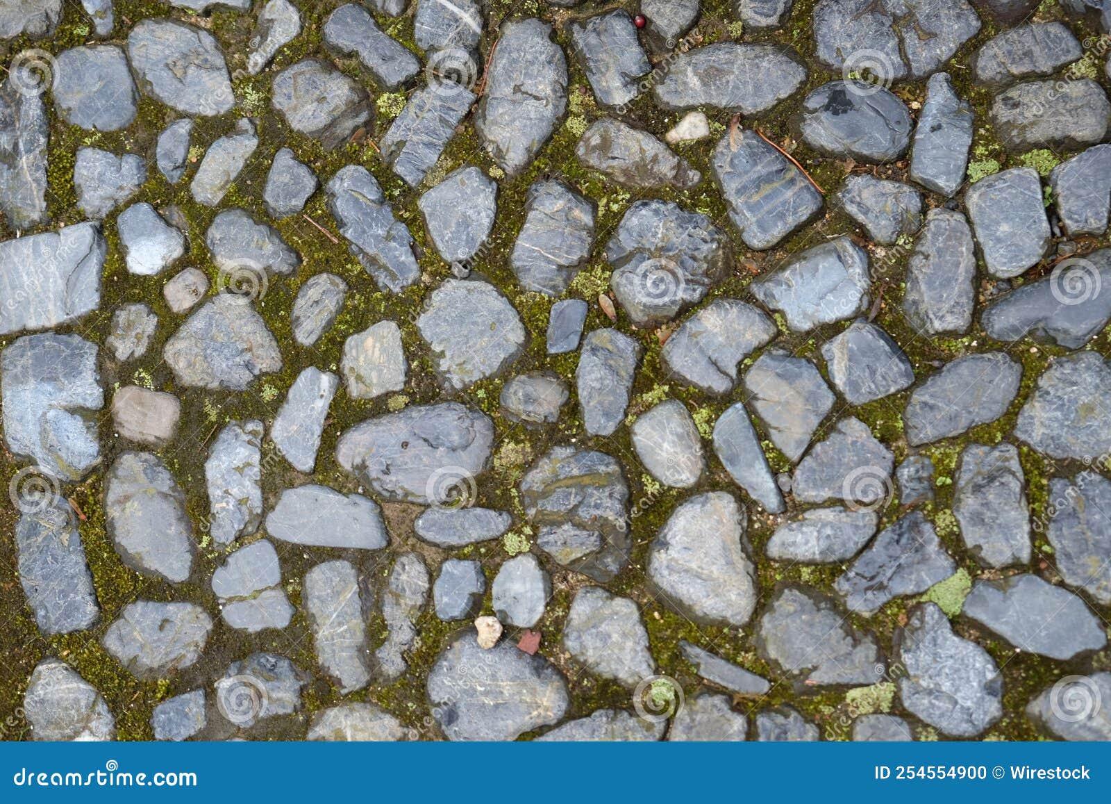 Stone brick on the ground stock photo. Image of cement - 254554900