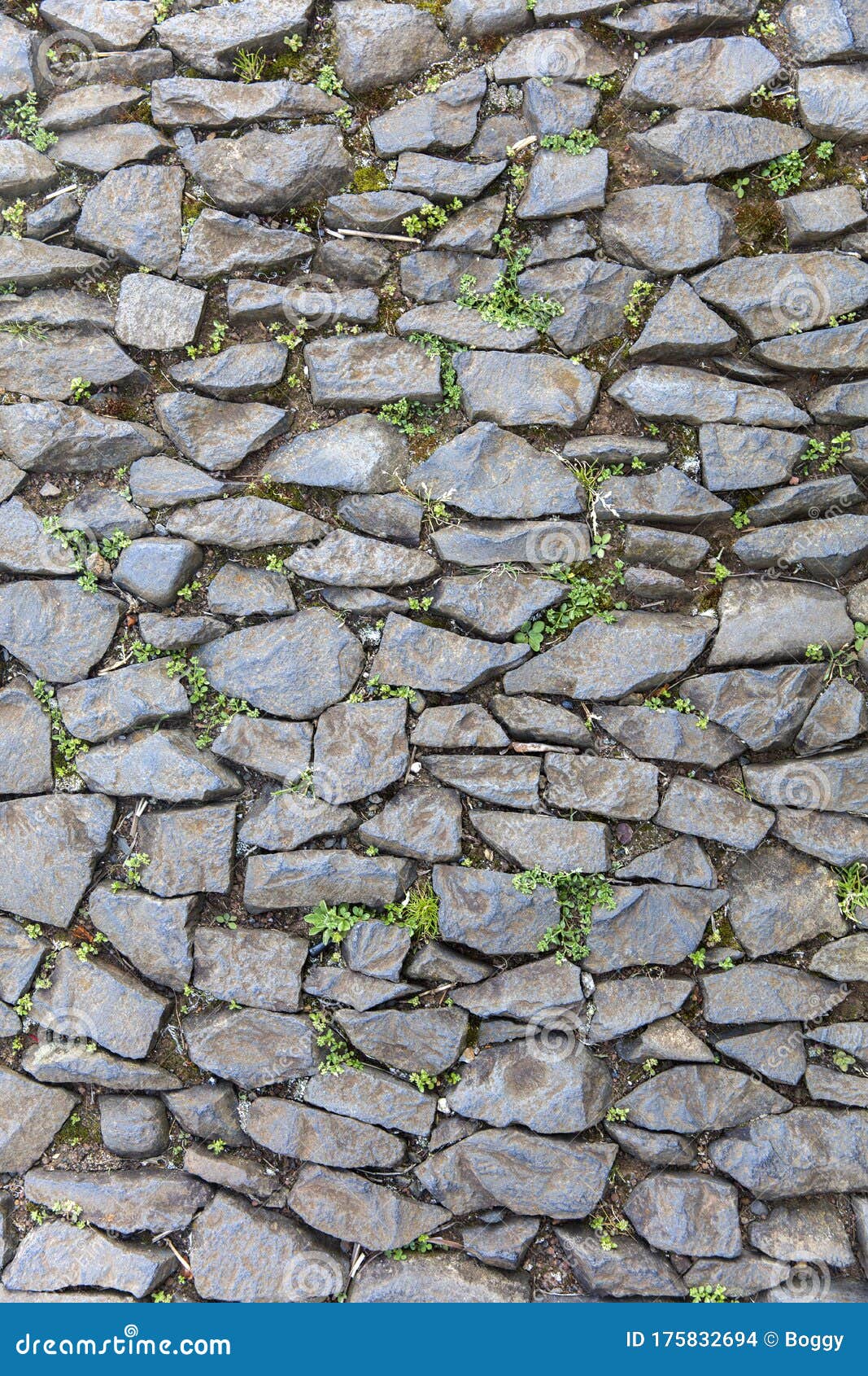 Pathway Texture For The Background. Stock Photography | CartoonDealer ...