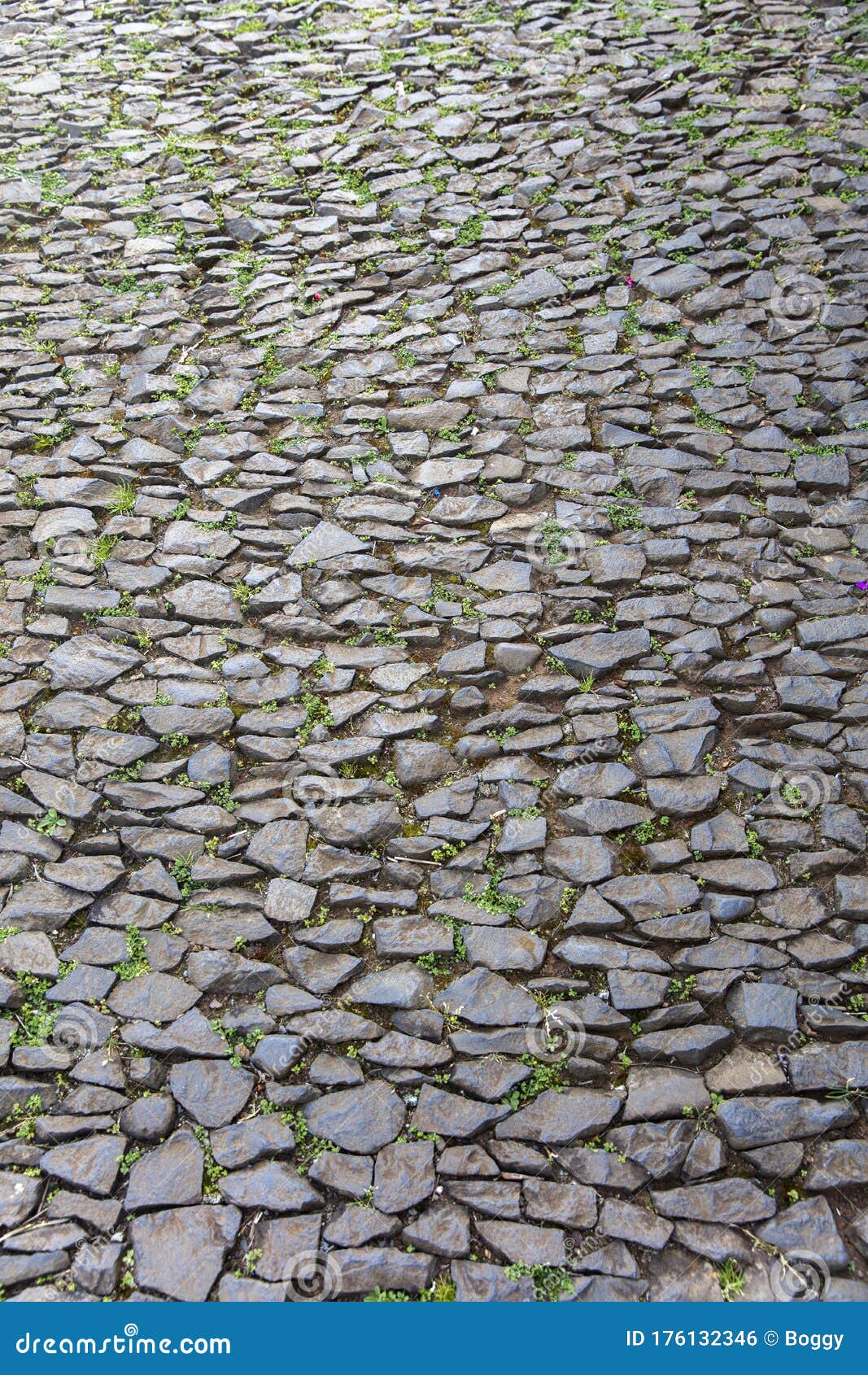 Pathway Texture For The Background. Stock Photography | CartoonDealer ...