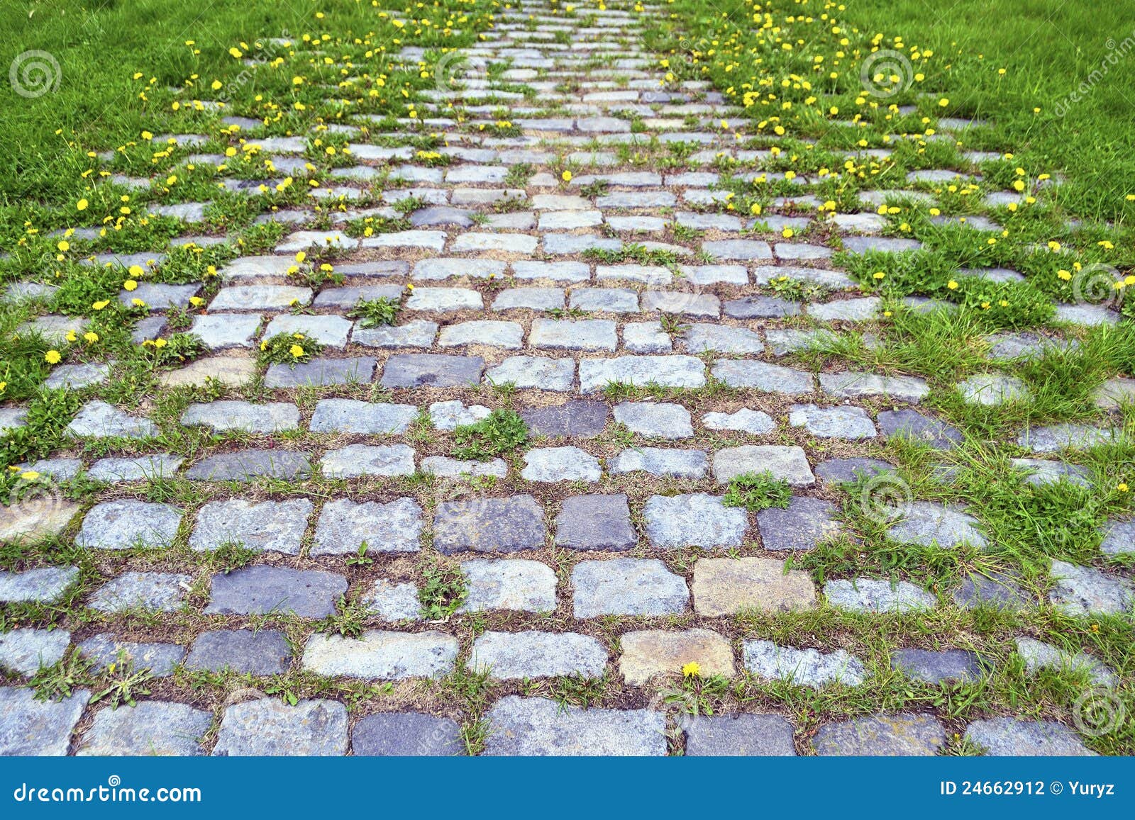Stone brick road stock photo. Image of summer, green - 24662912