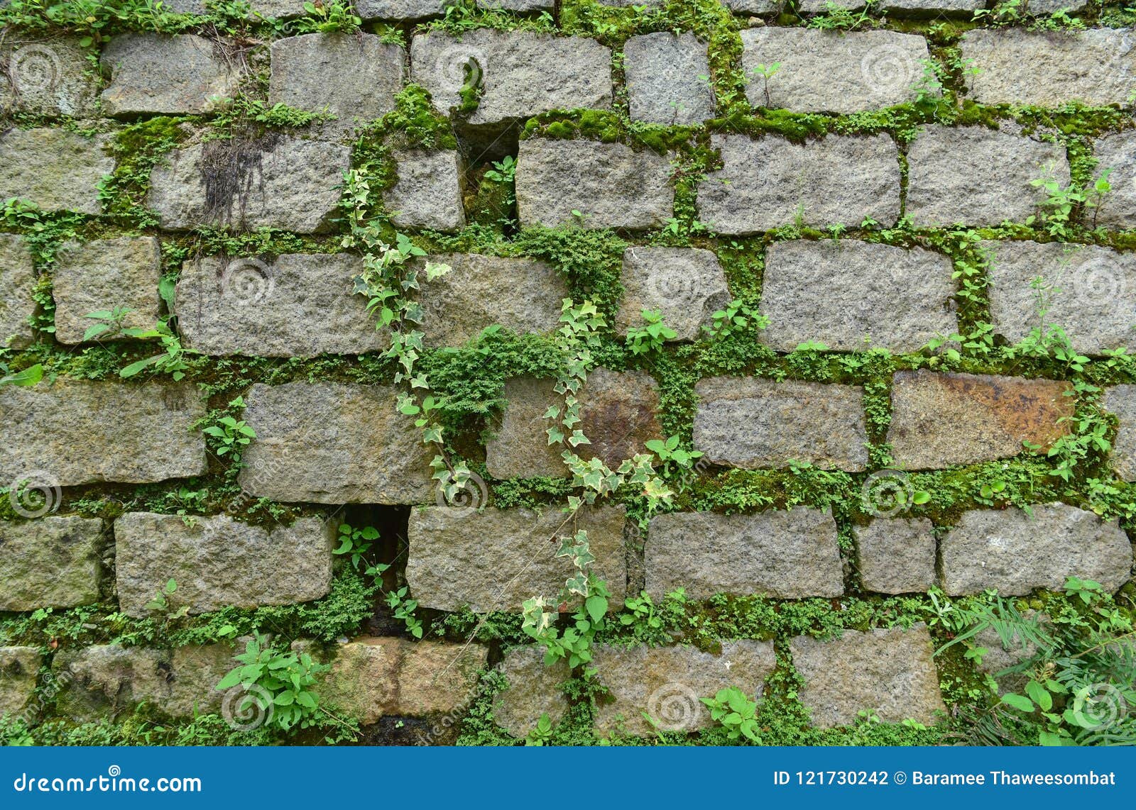 Stone Brick Wall Texture and Grass for Background Stock Photo - Image ...