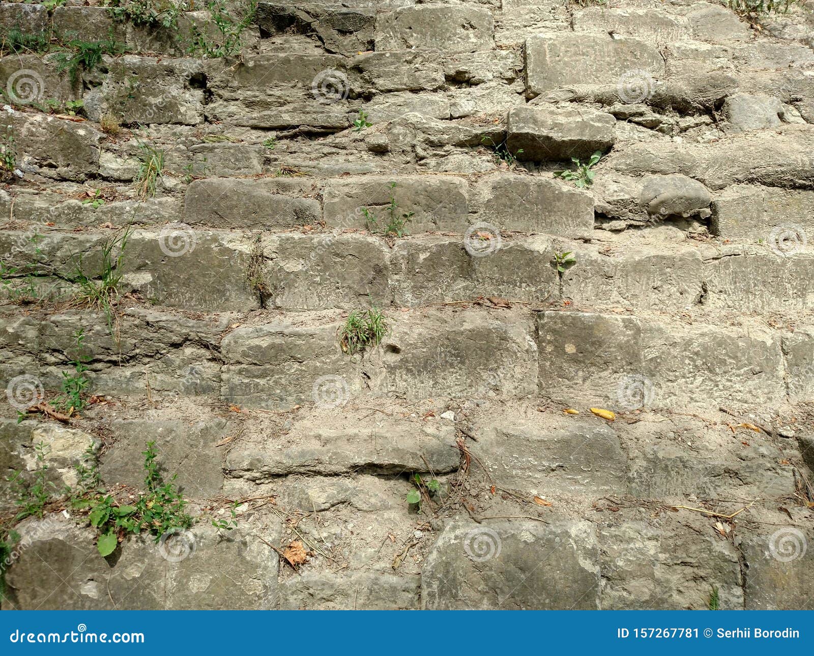 Stone Bricks Similar To Pyramid Blocks for Background Wall with Plants ...