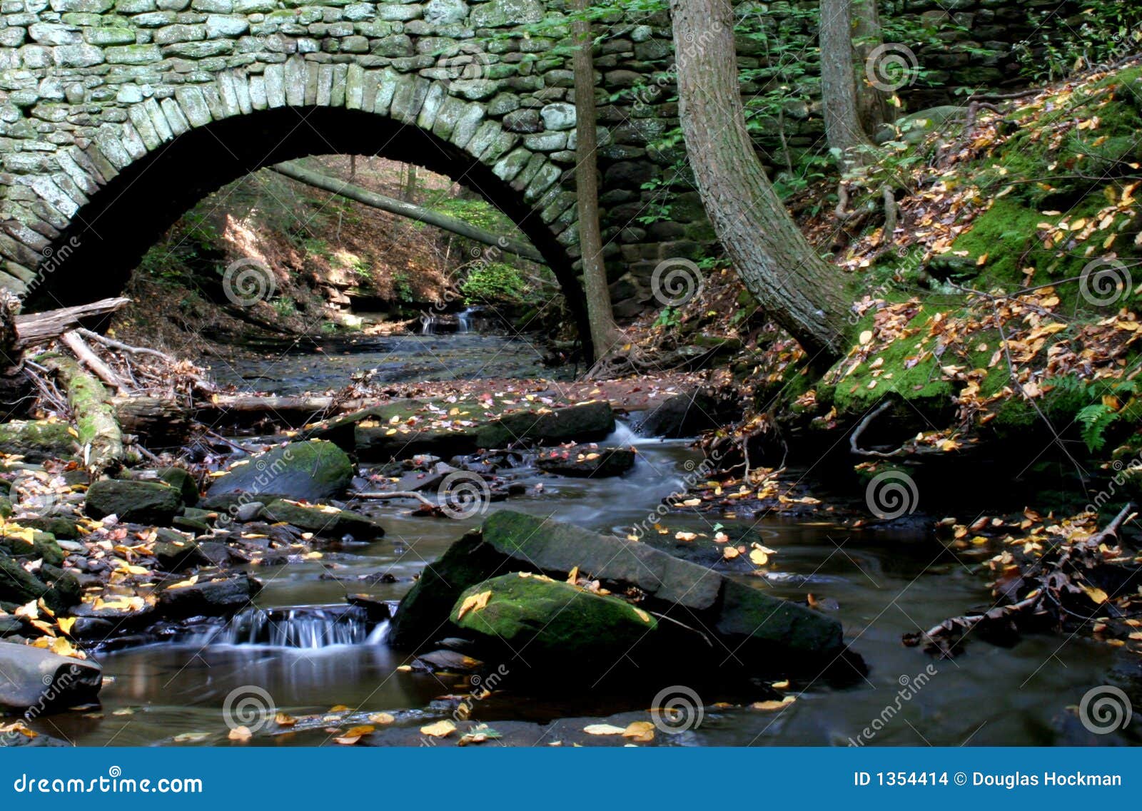 Stone Bridge stock photo. Image of brook, trunk, curve - 1354414