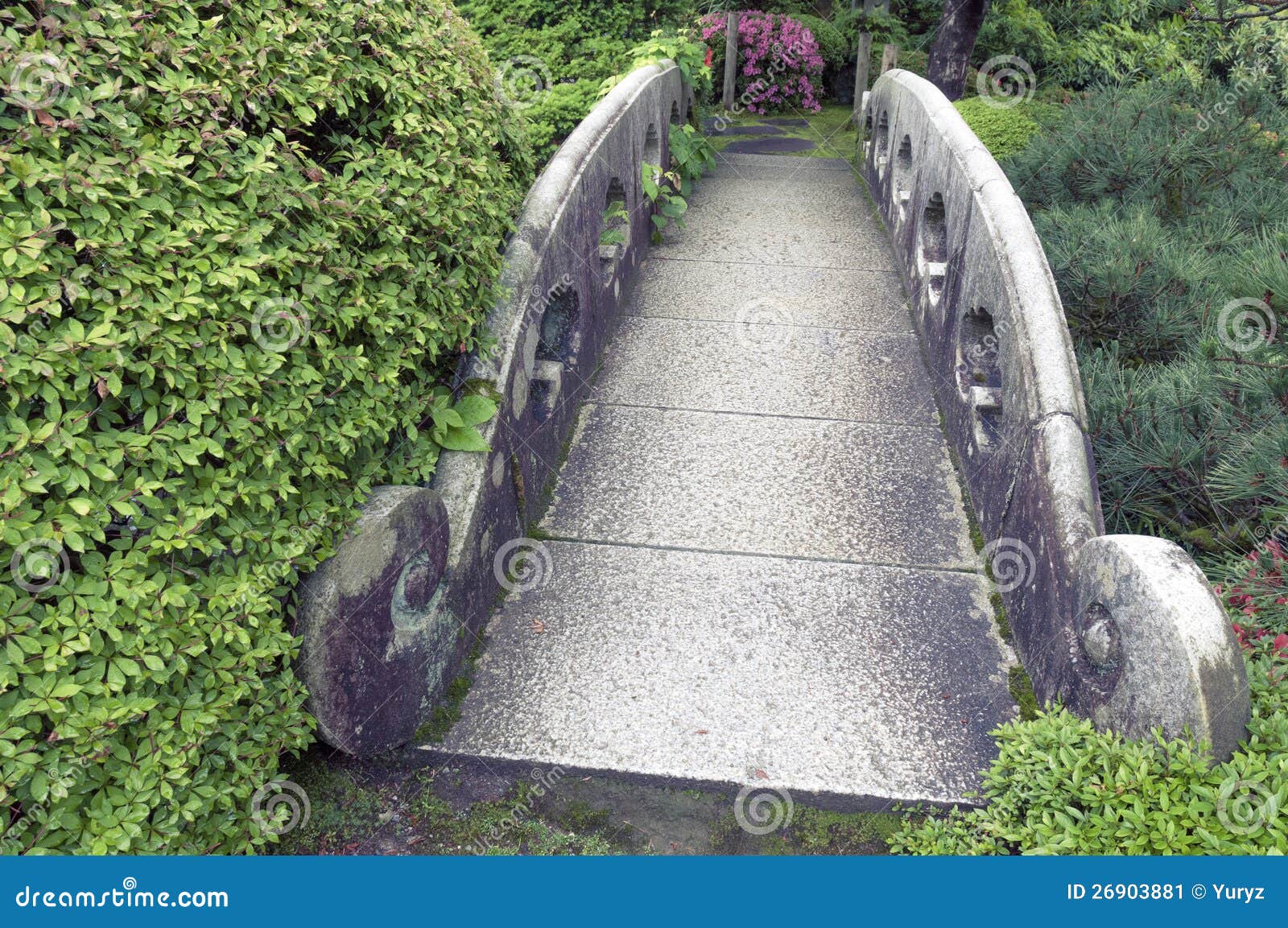 Stone bridge stock image. Image of arch, nature, bush - 26903881