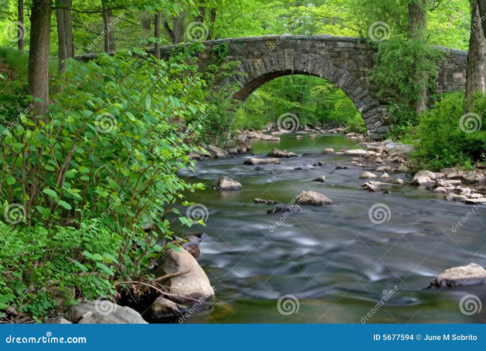 Stone Bridge stock photo. Image of park, cataract, bridge - 5677594